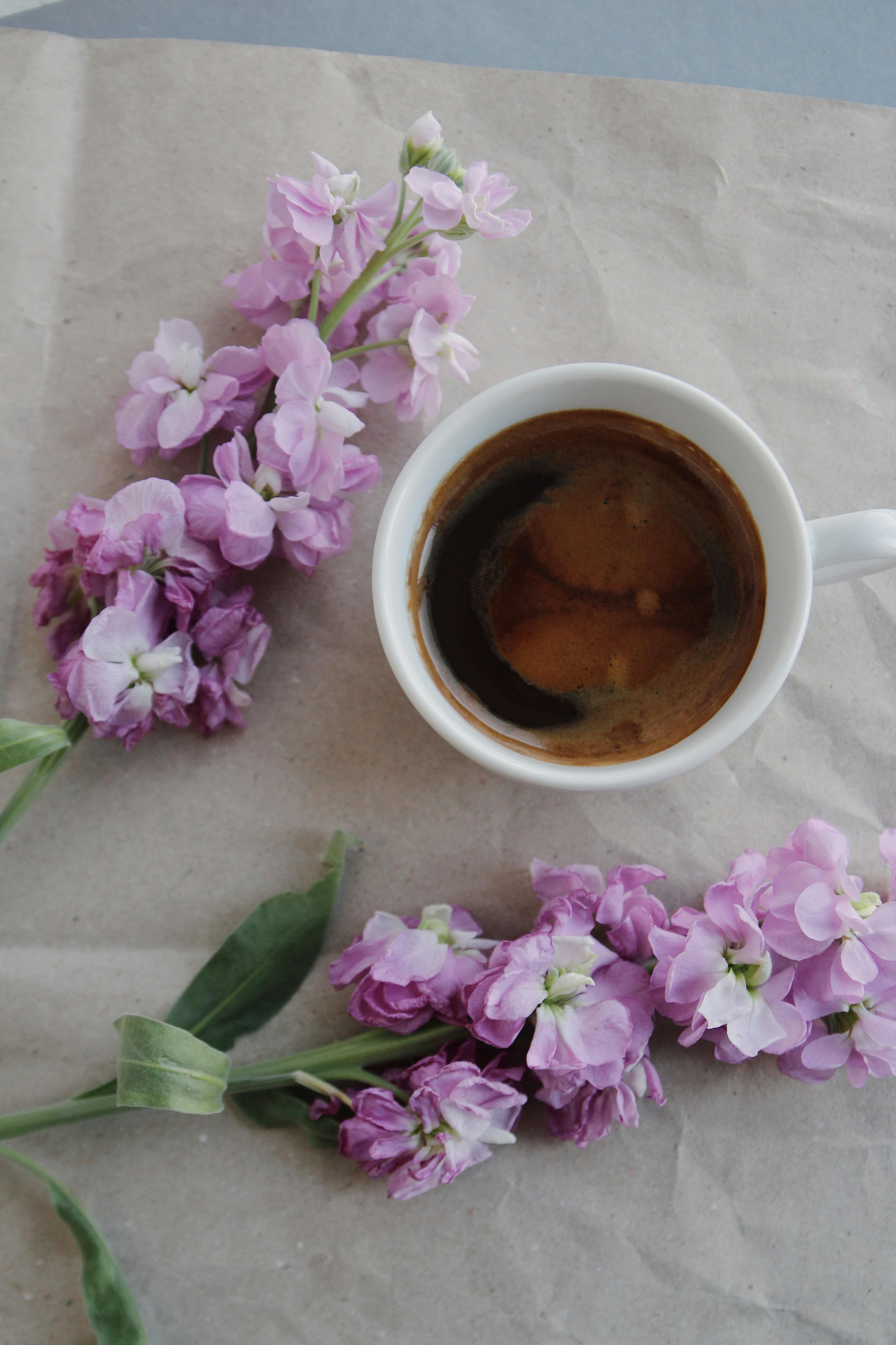 Flower and Coffee Cup · Free Stock Photo