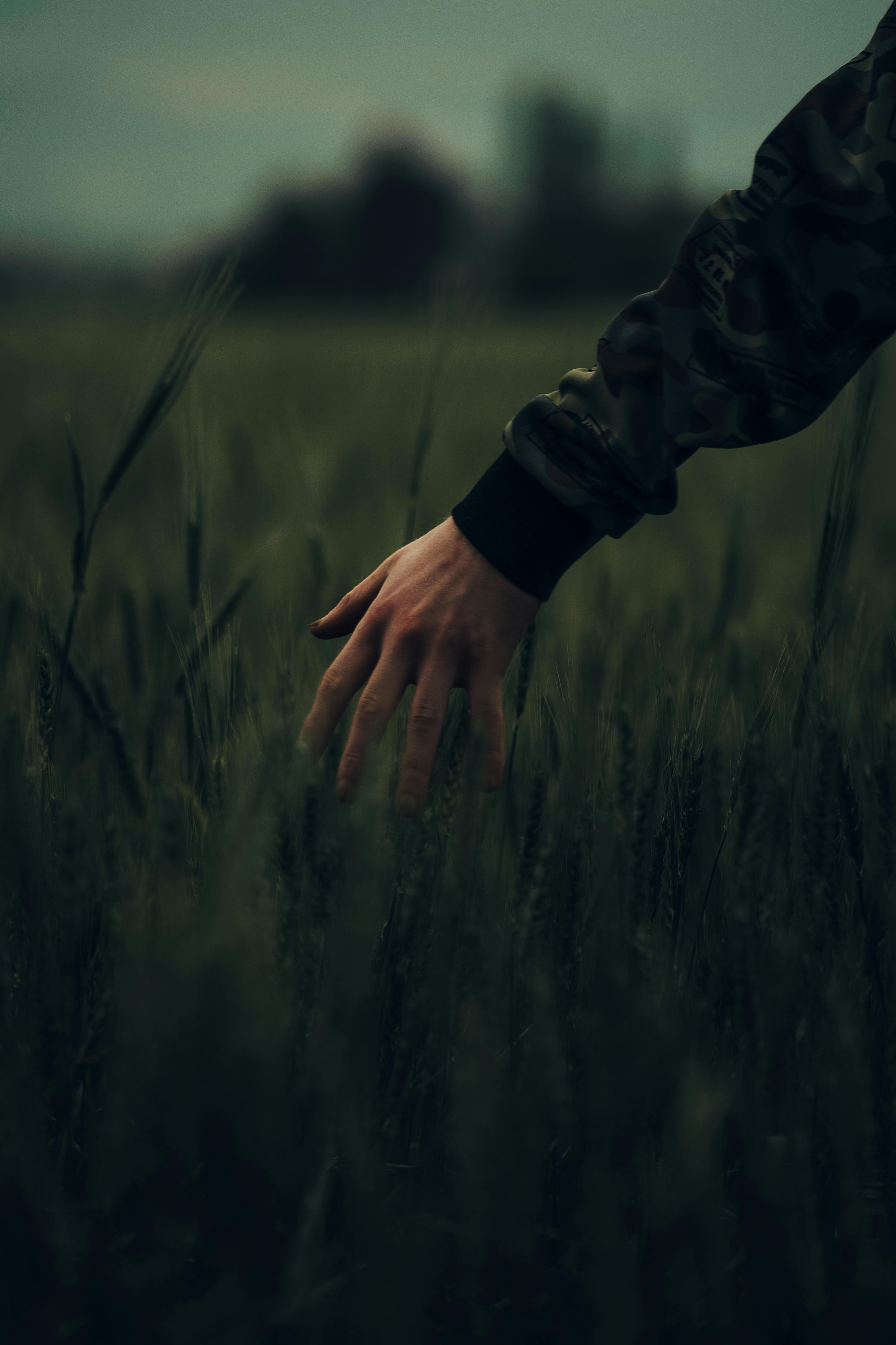 Hand Touching Ground with Flowers · Free Stock Photo