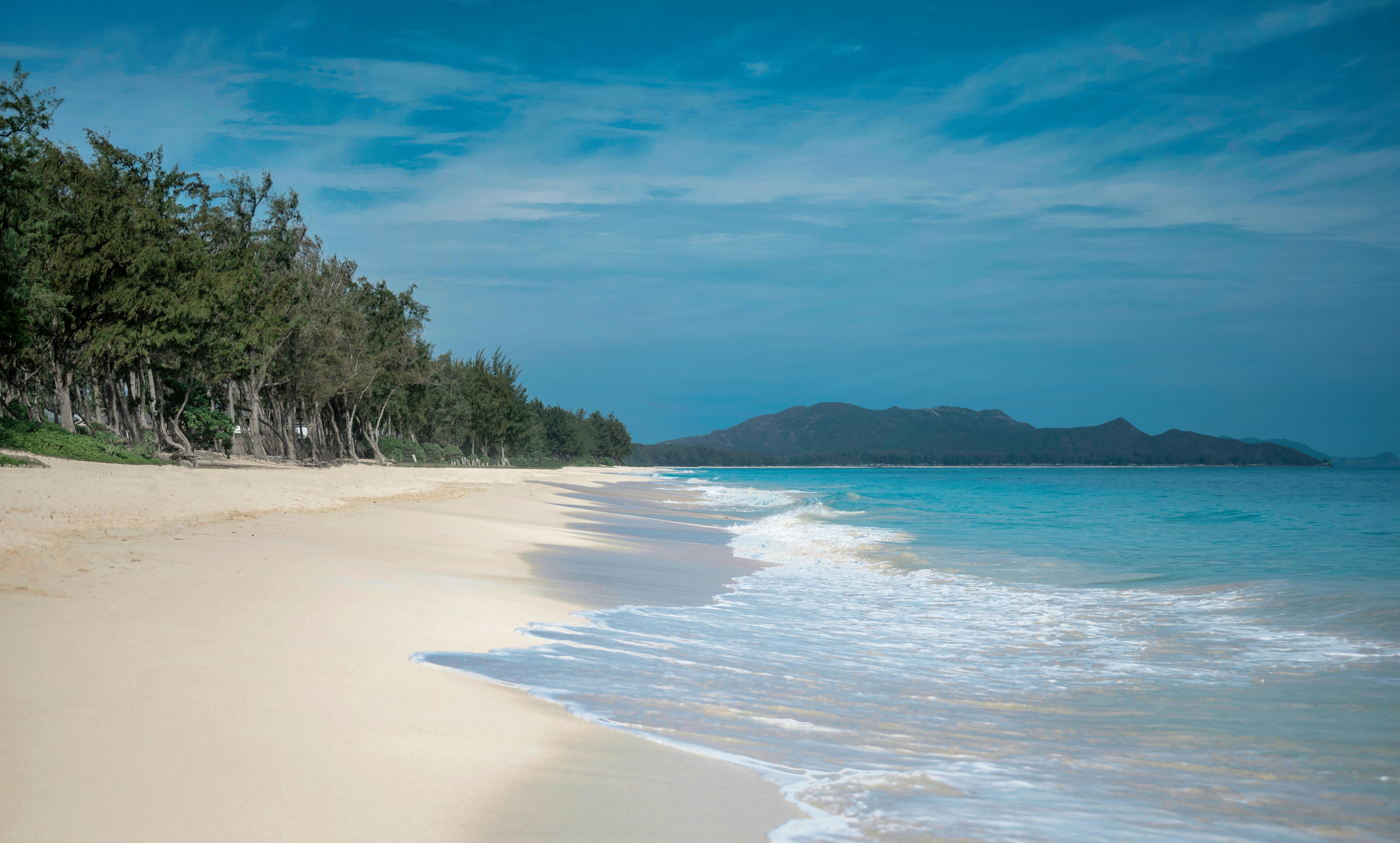 Forest And Beach Wallpaper Photos, Download The BEST Free Forest And ...