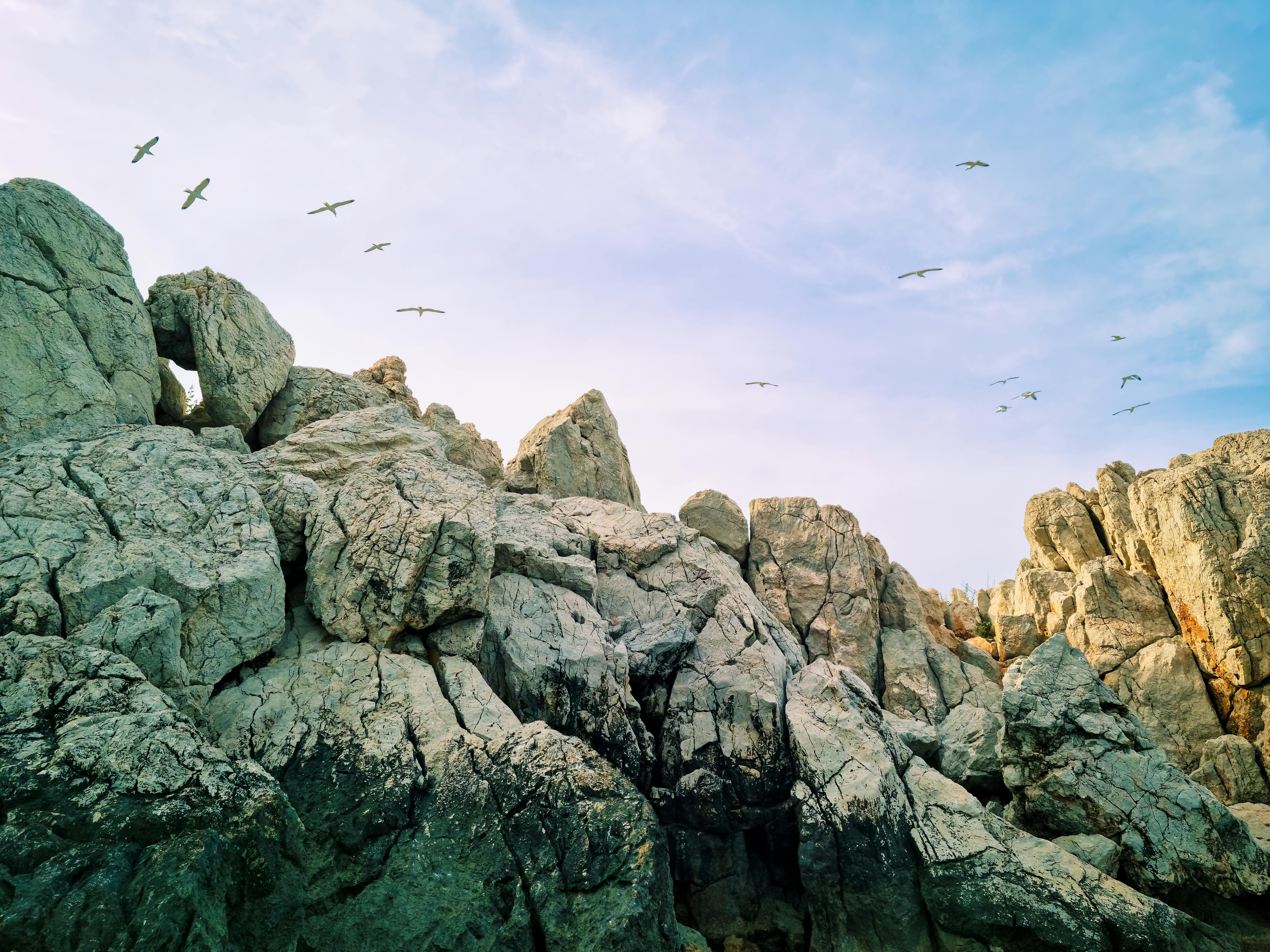 Birds Flying over Big Rocks Under Blue Sky · Free Stock Photo
