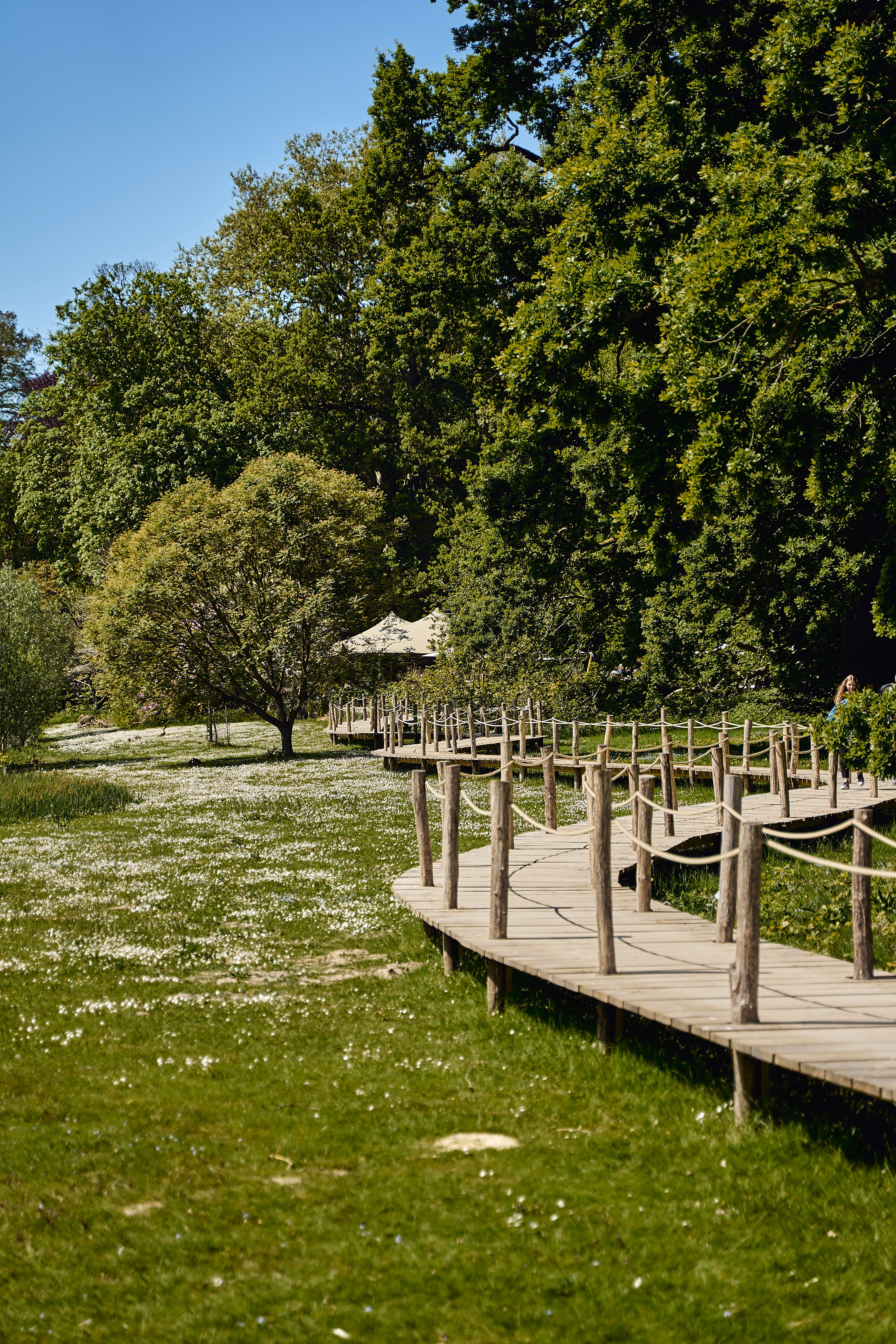 A Wooden Bridge on a Grassy Field · Free Stock Photo