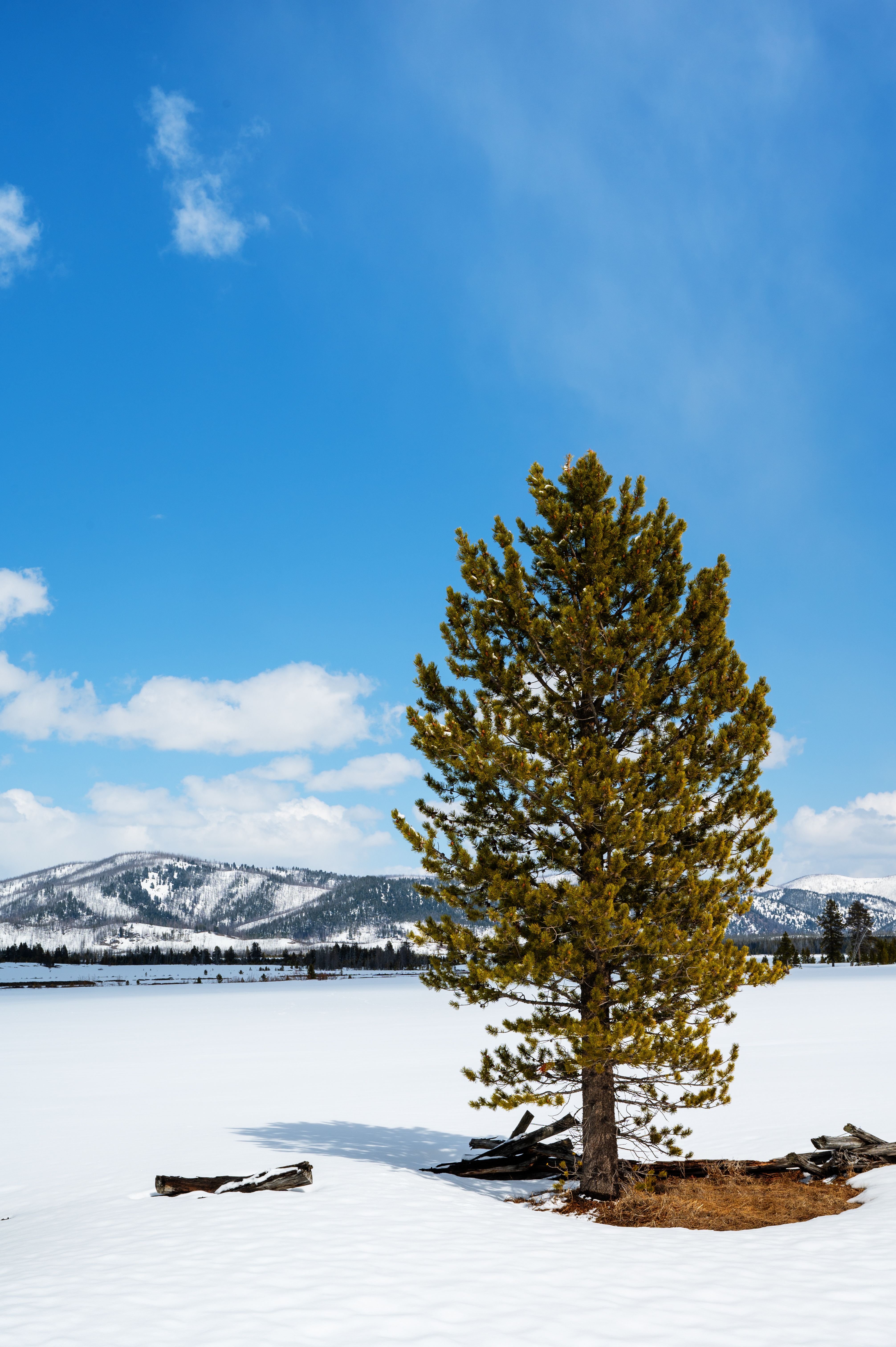 Stanley Background Photos, Download The BEST Free Stanley Background ...