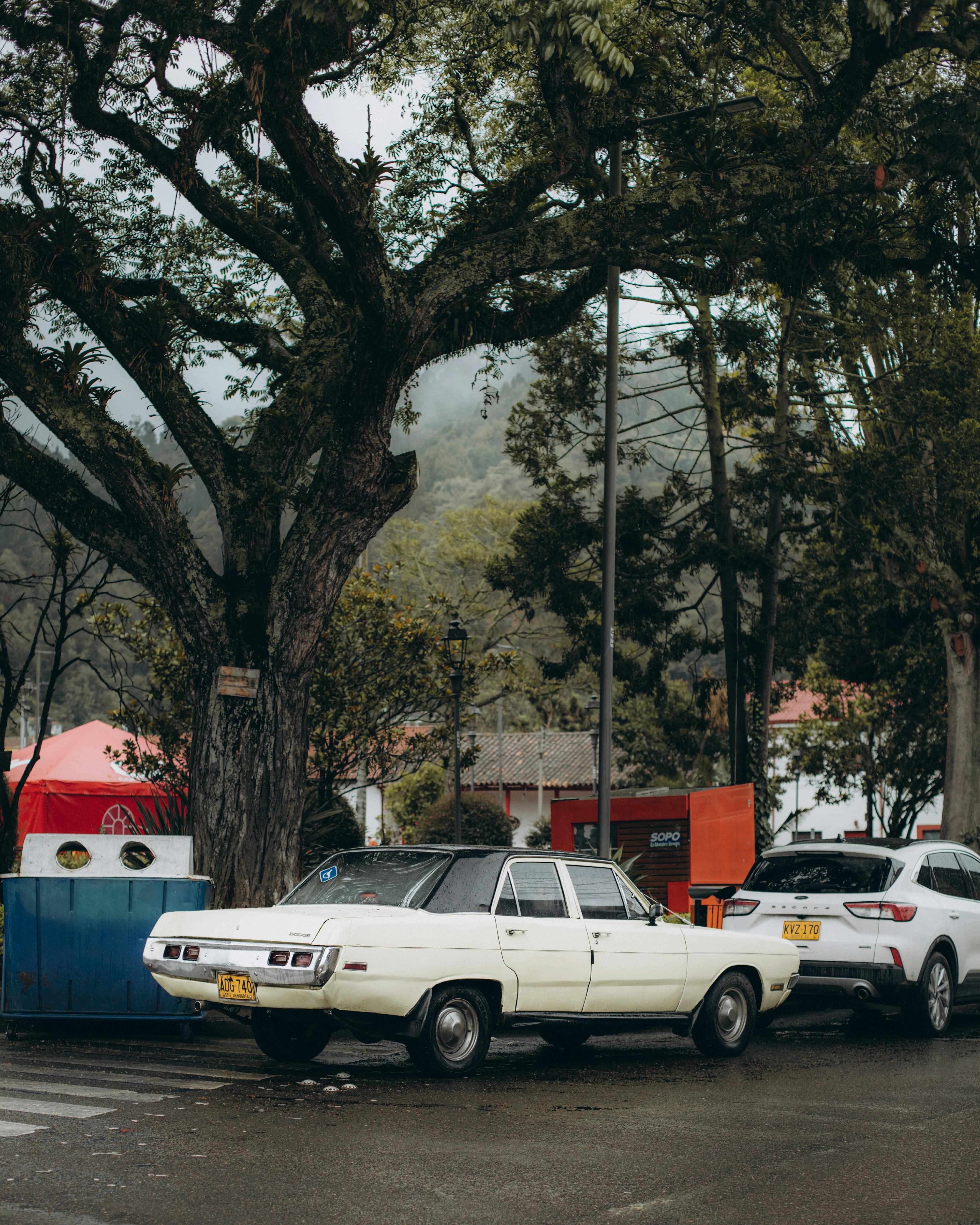 Maruti 800 Car near Trees and Water · Free Stock Photo