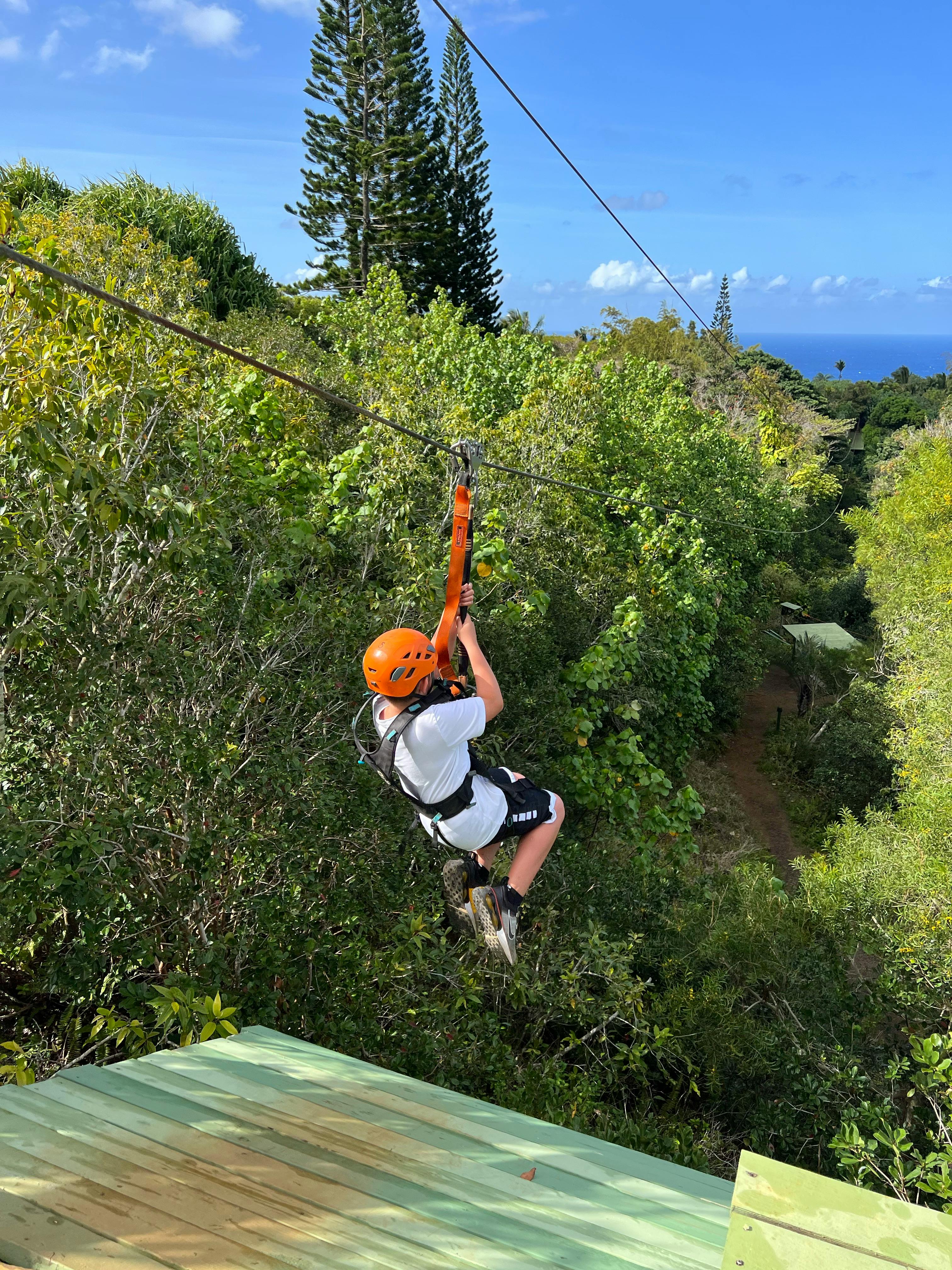 Man on a Zipline · Free Stock Photo