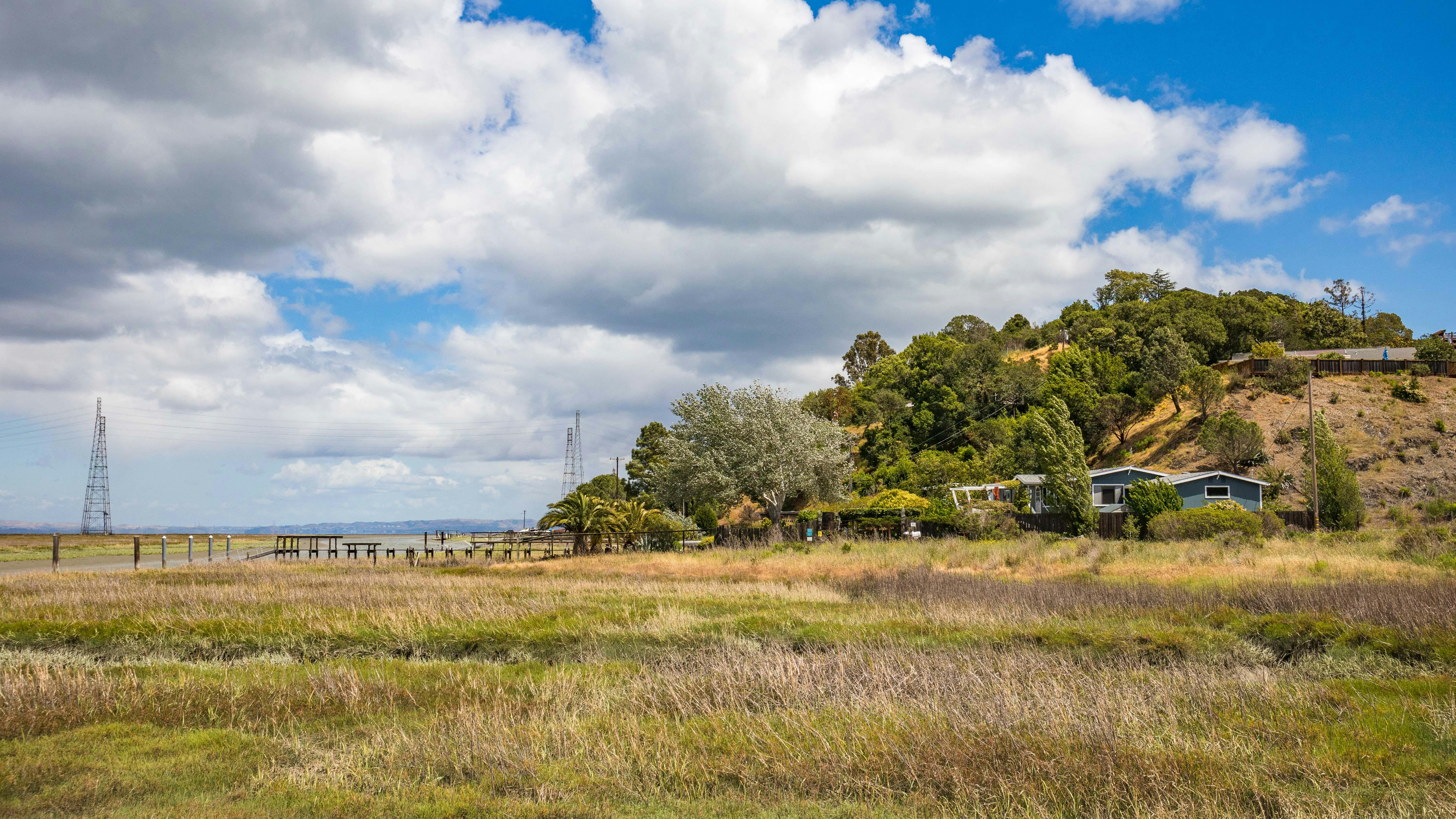 Brown House in the Middle of Green Open Field Surrounded With Trees ...