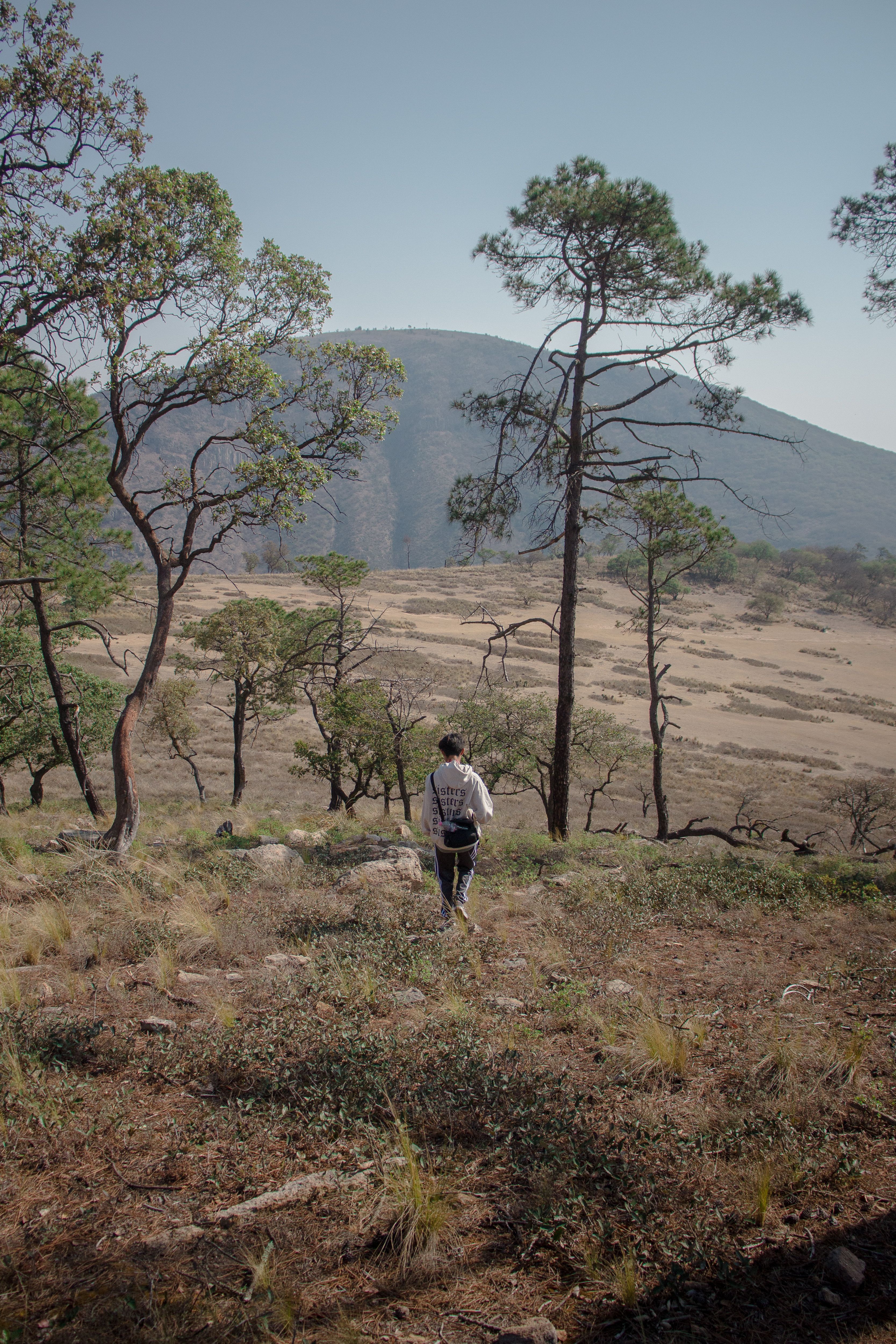 Back View of a Person Walking Downhill · Free Stock Photo
