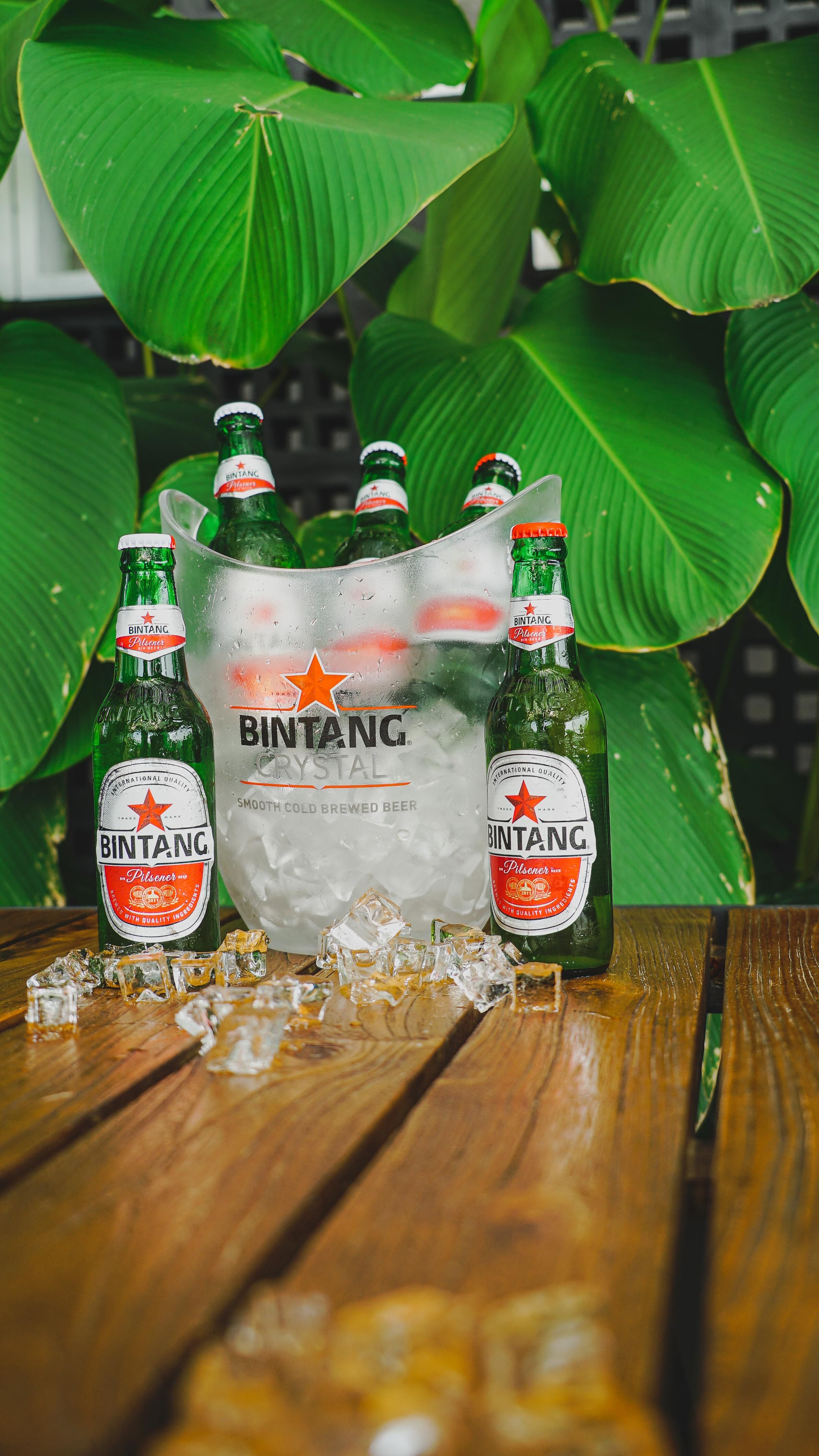 Beer Bintang Photos, Download The BEST Free Beer Bintang Stock Photos ...