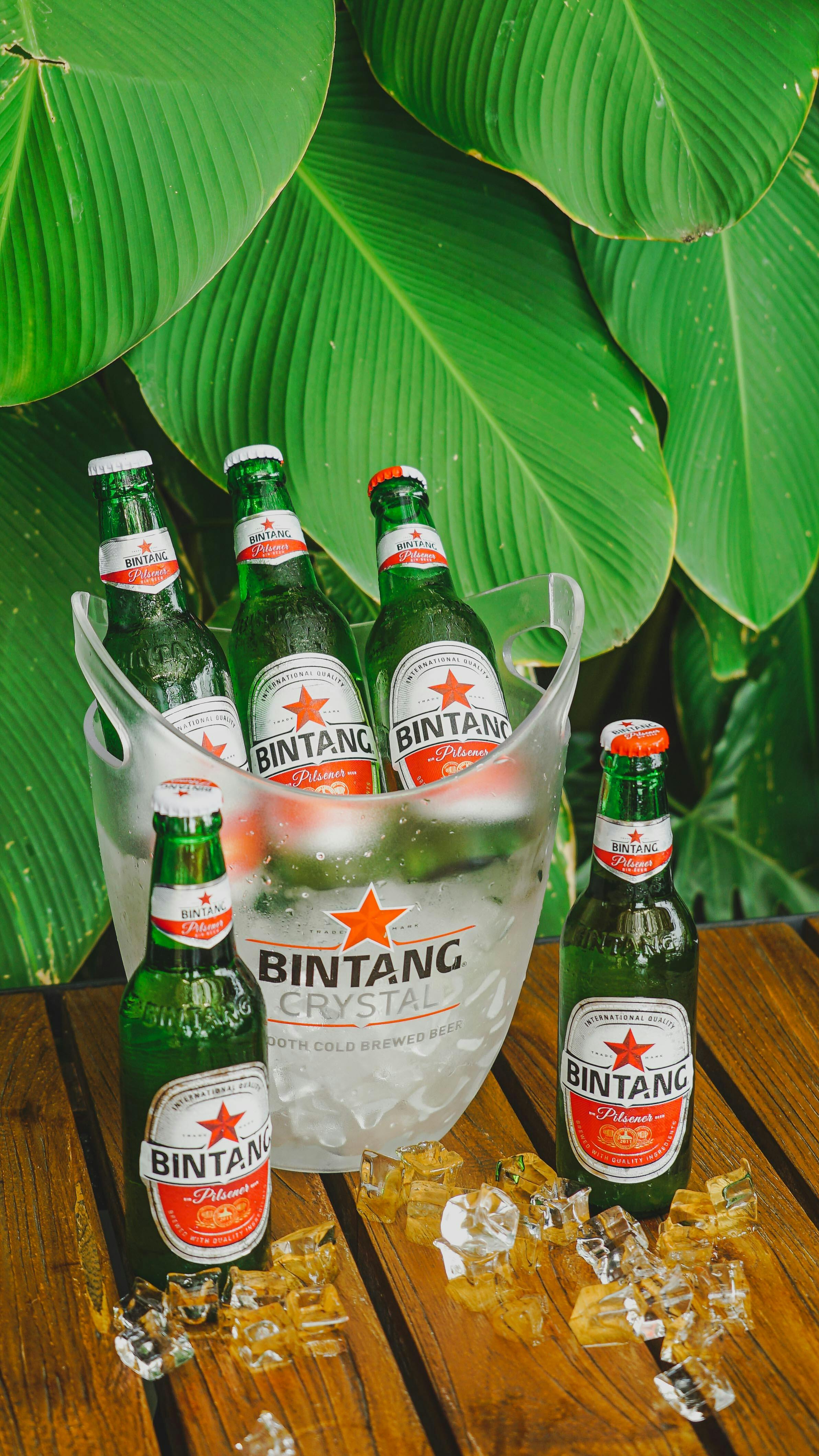 Foto stok gratis tentang balok es, bintang, bir, botol bir, daun daun ...