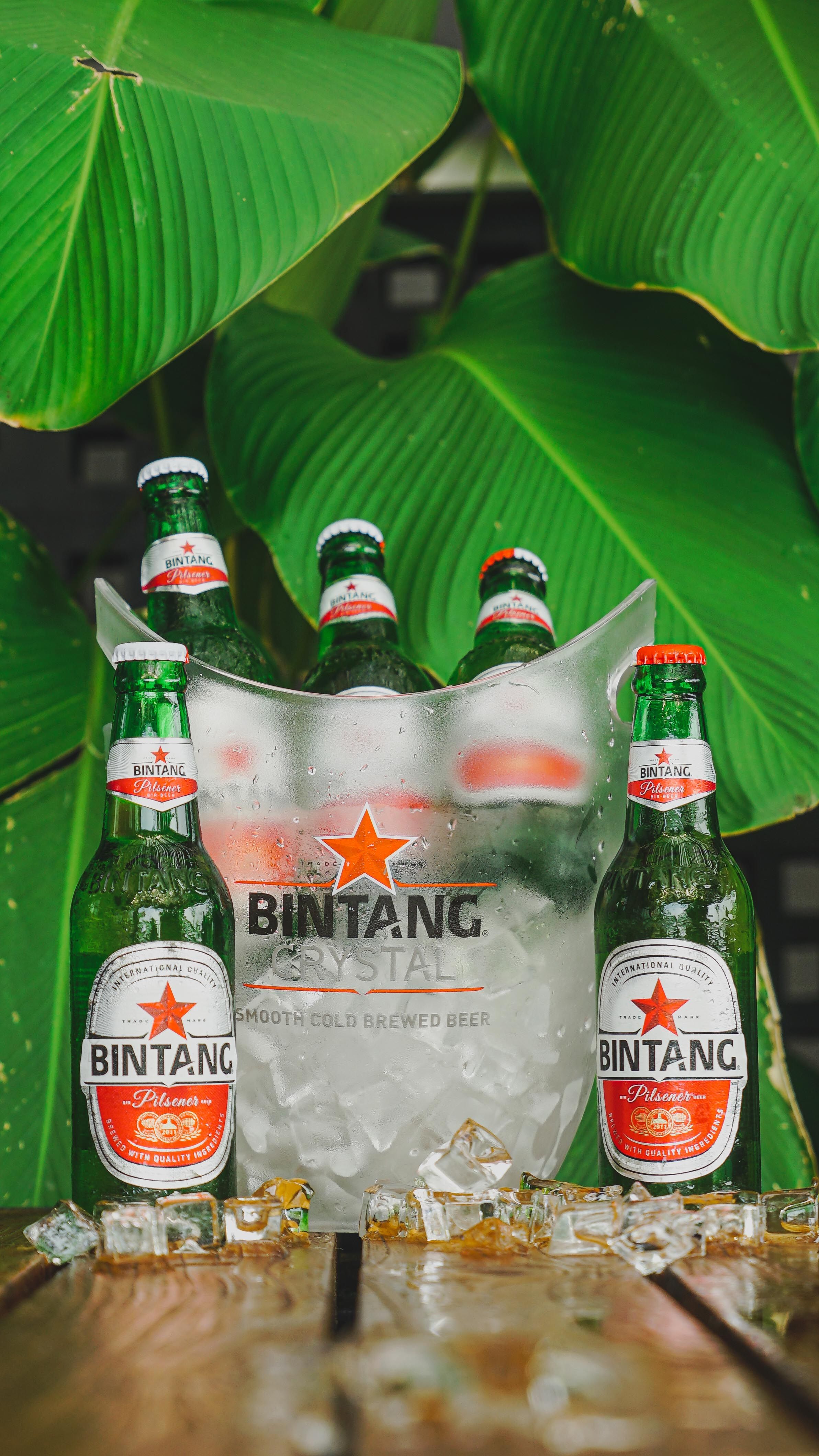 Beer Bintang Photos, Download The BEST Free Beer Bintang Stock Photos ...