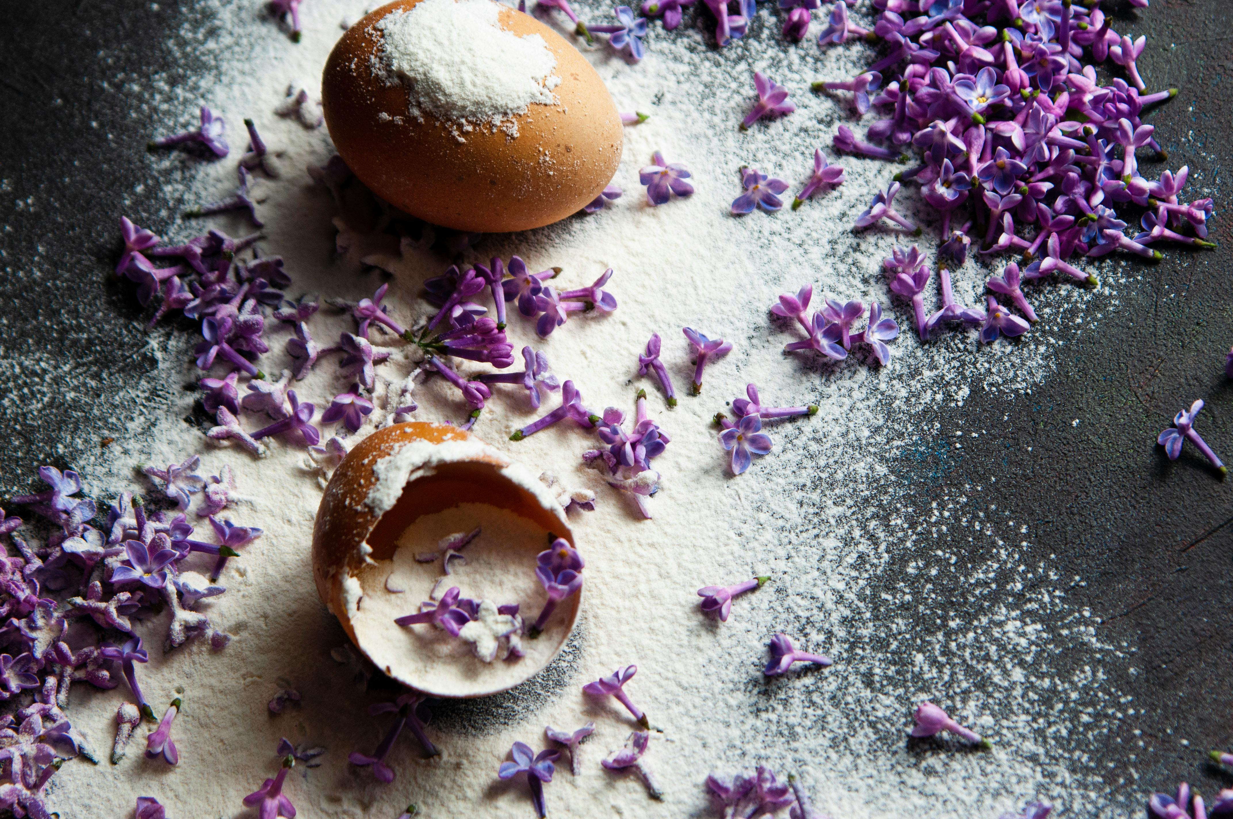 Lilac Dust Photos, Download The BEST Free Lilac Dust Stock Photos & HD ...