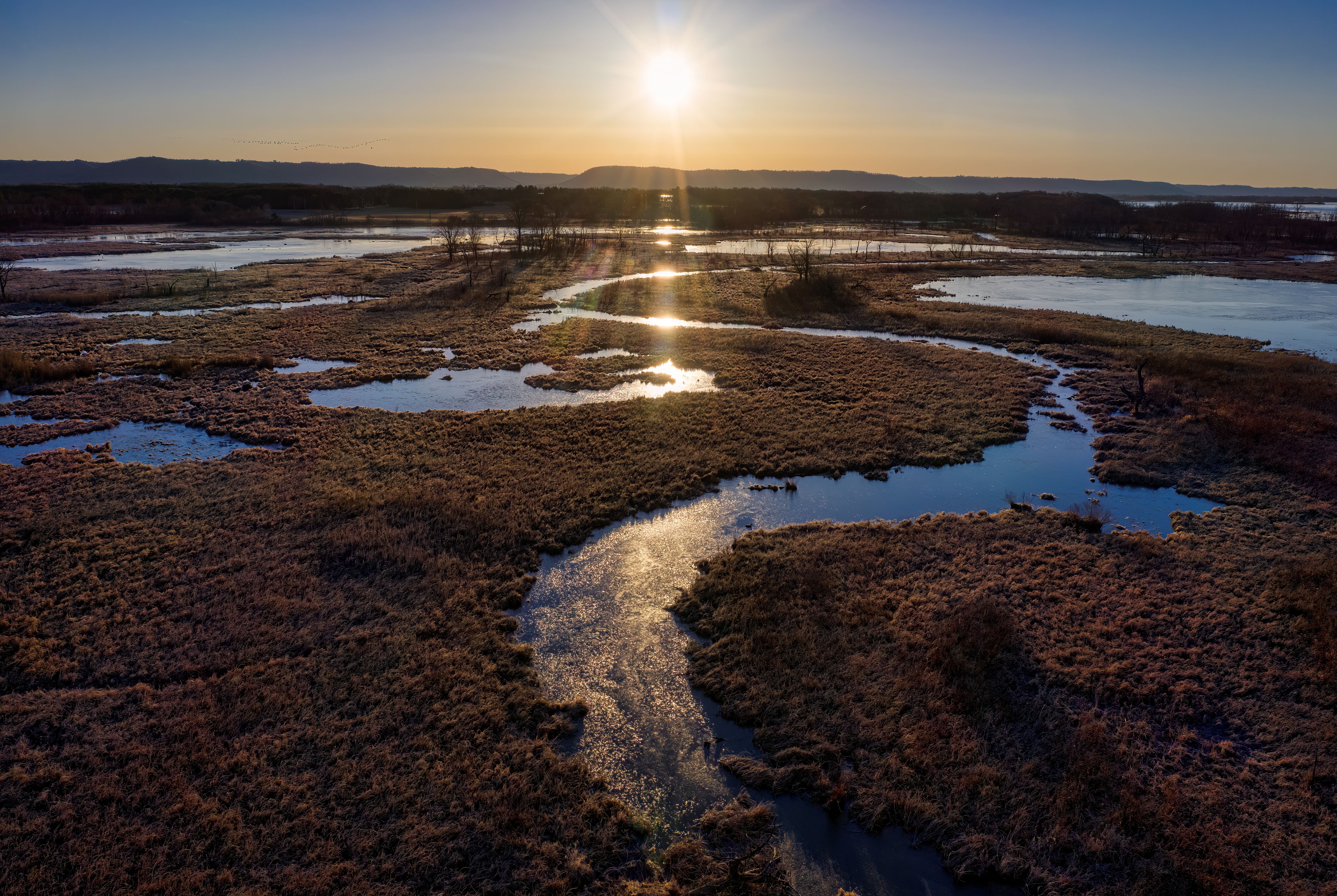 Marshland Pfad Photos, Download The BEST Free Marshland Pfad Stock ...