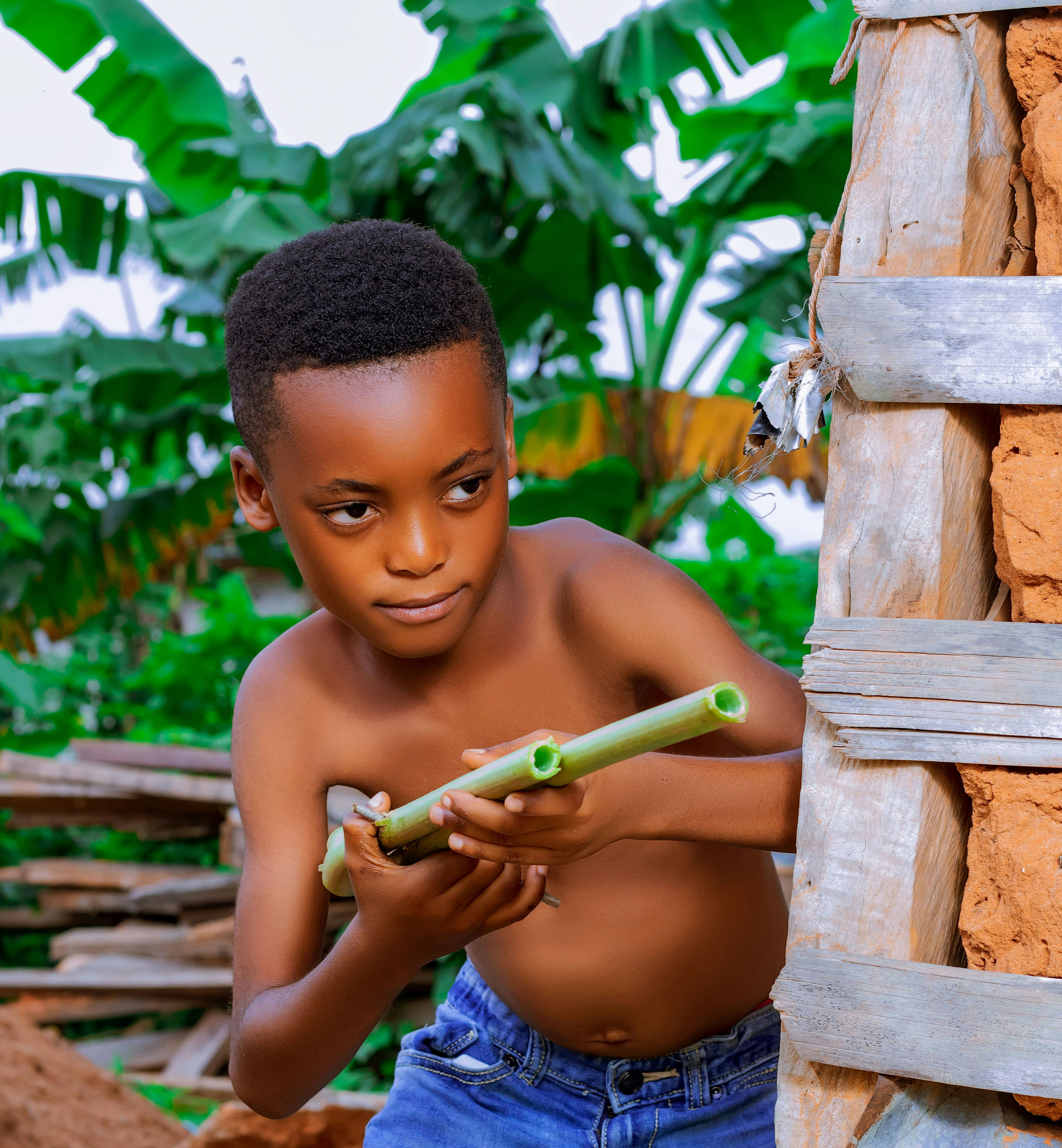 Felix Pipes Photos, Download The BEST Free Felix Pipes Stock Photos ...