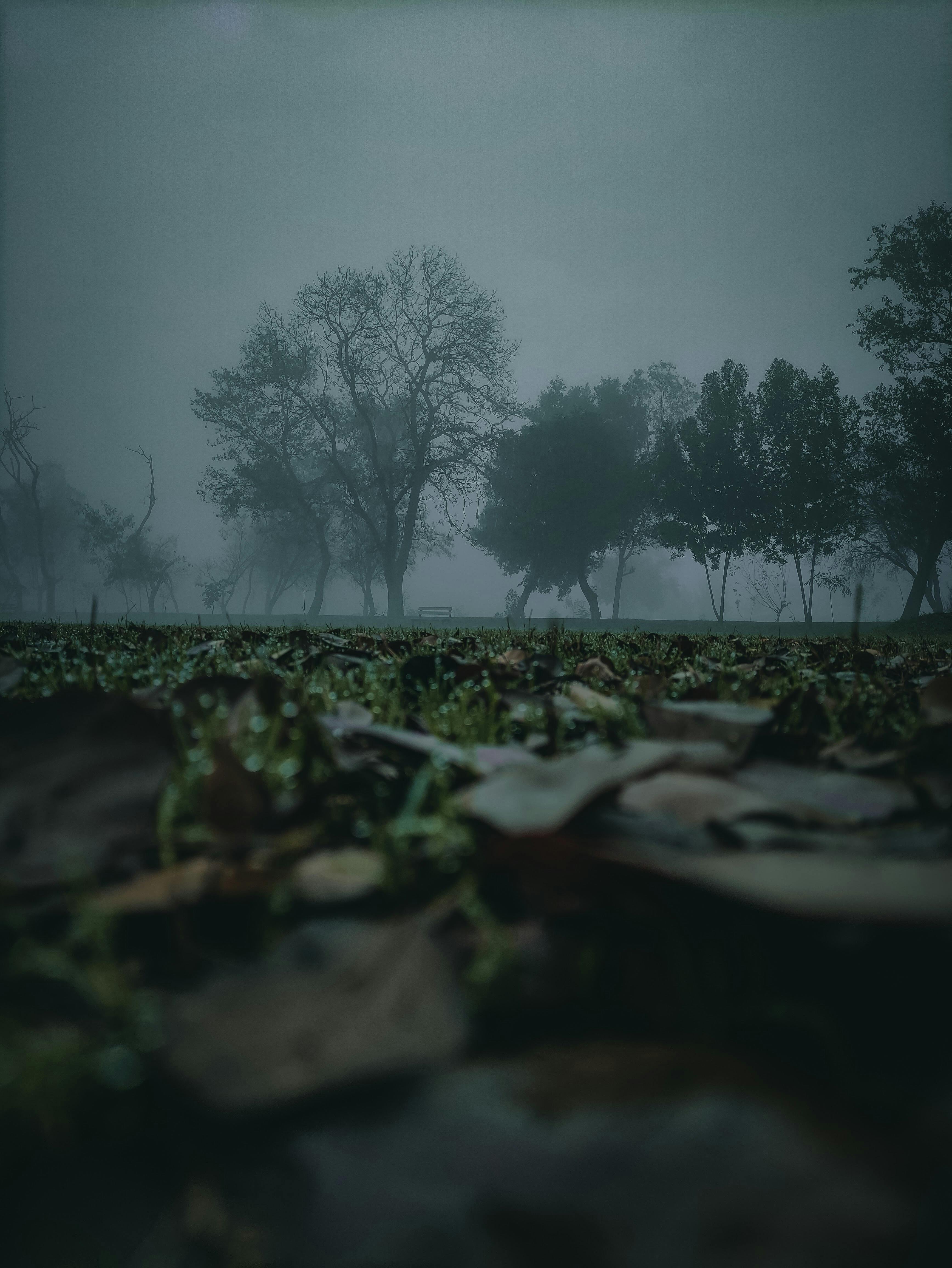 Pictro Hafsah - Fotografía