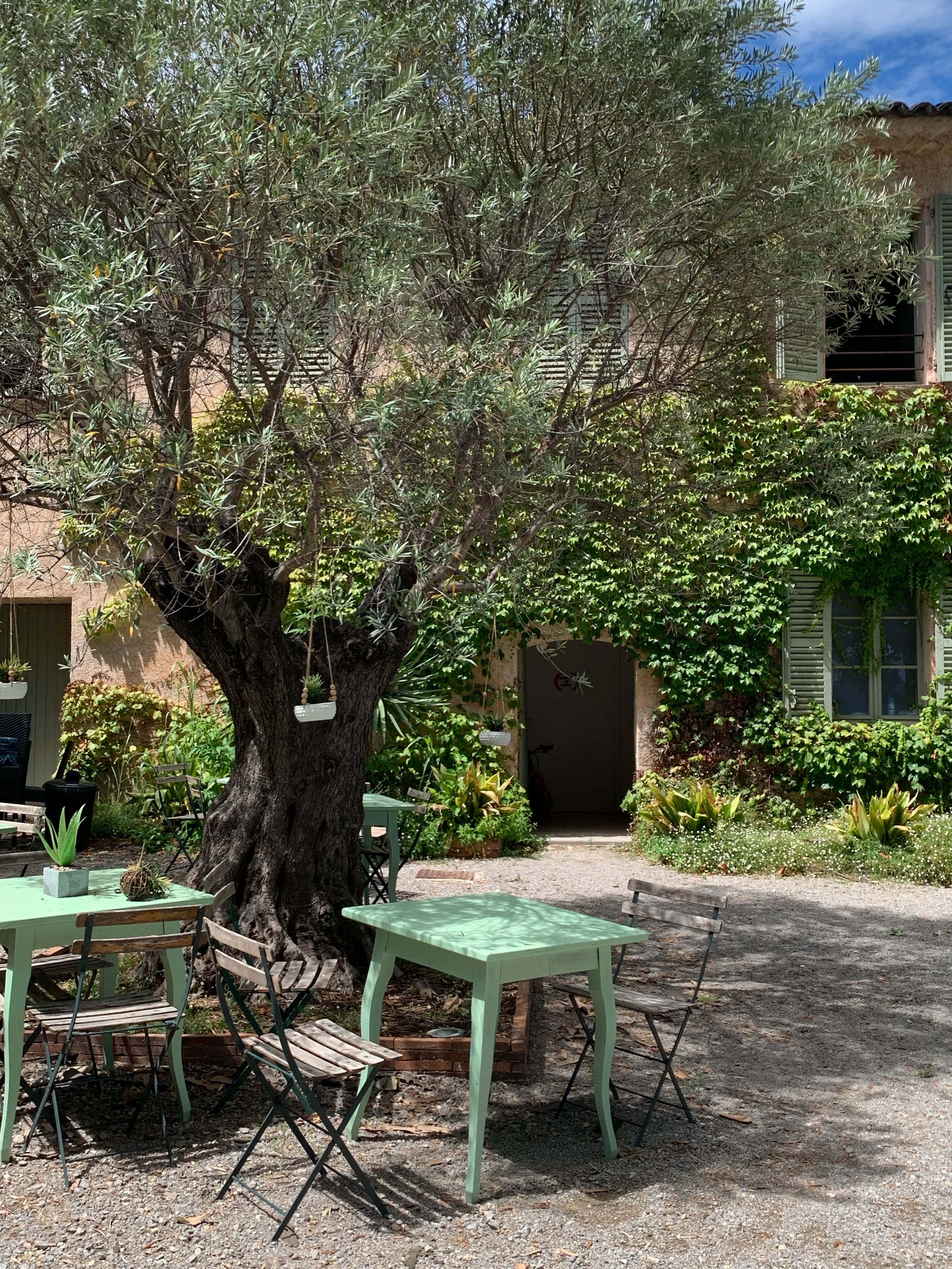 Tables Under the Tree · Free Stock Photo