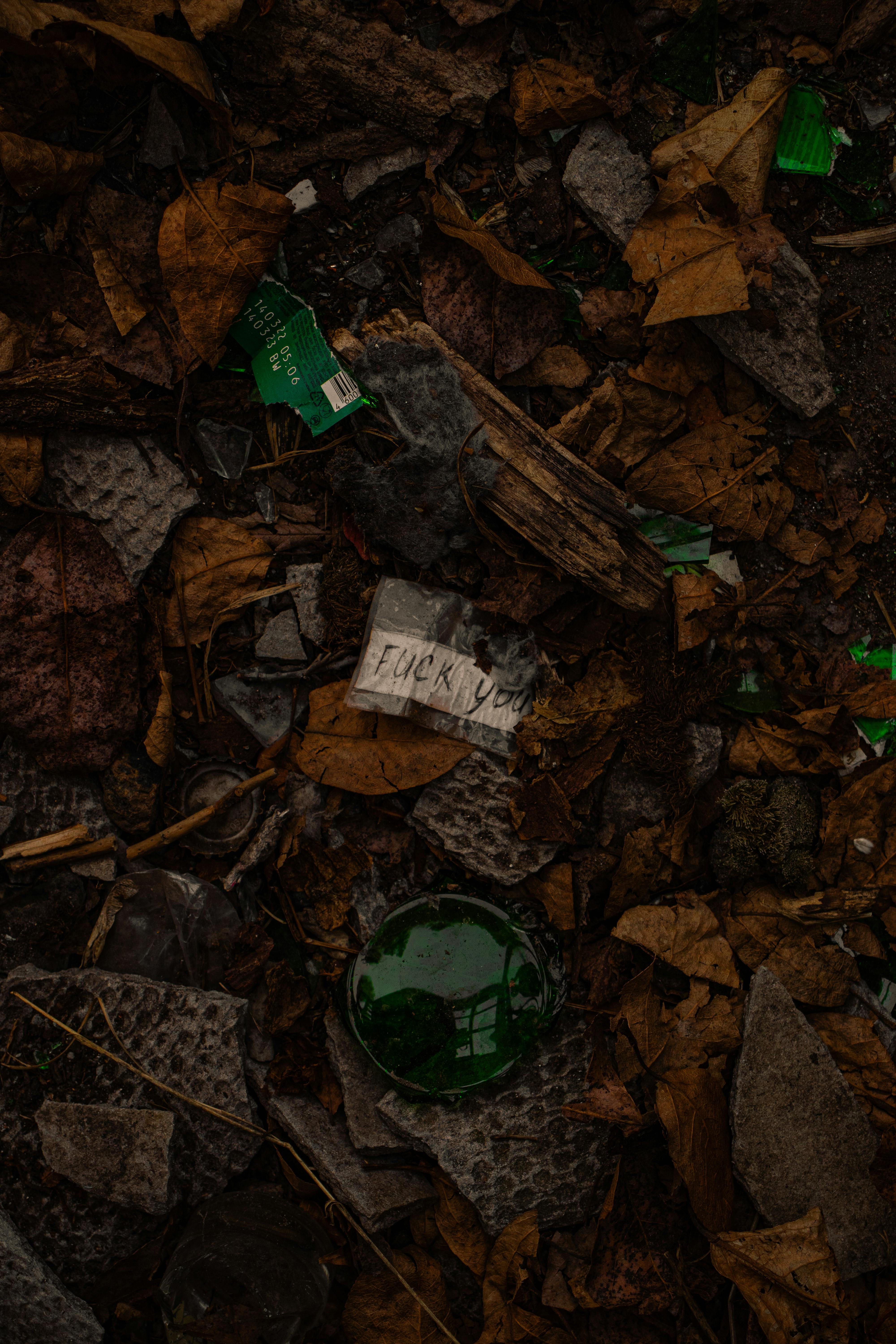 Plastic Litter and Glass Fragments on Fallen Leaves · Free Stock Photo