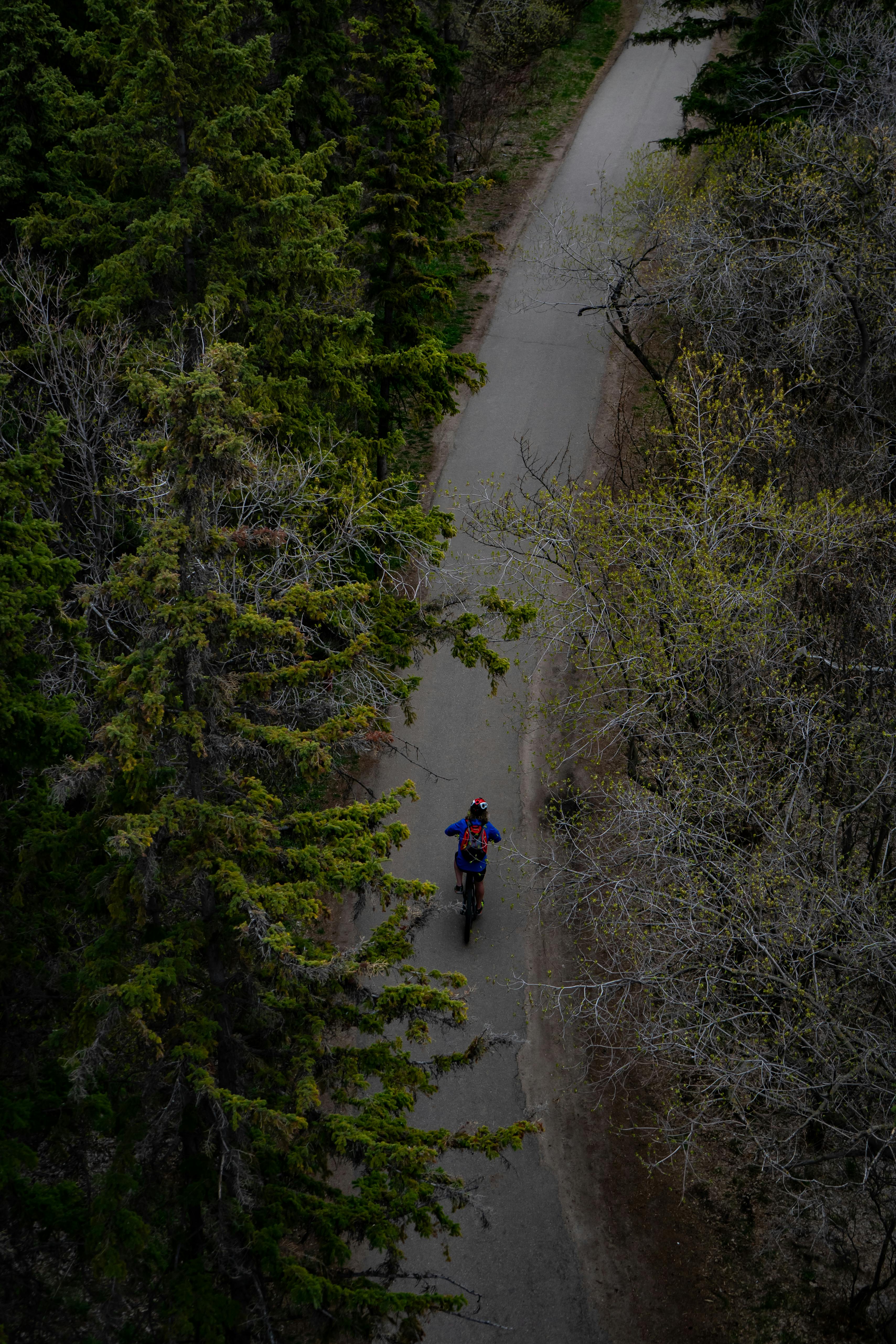 Aerial View of Person Riding Bicycle · Free Stock Photo