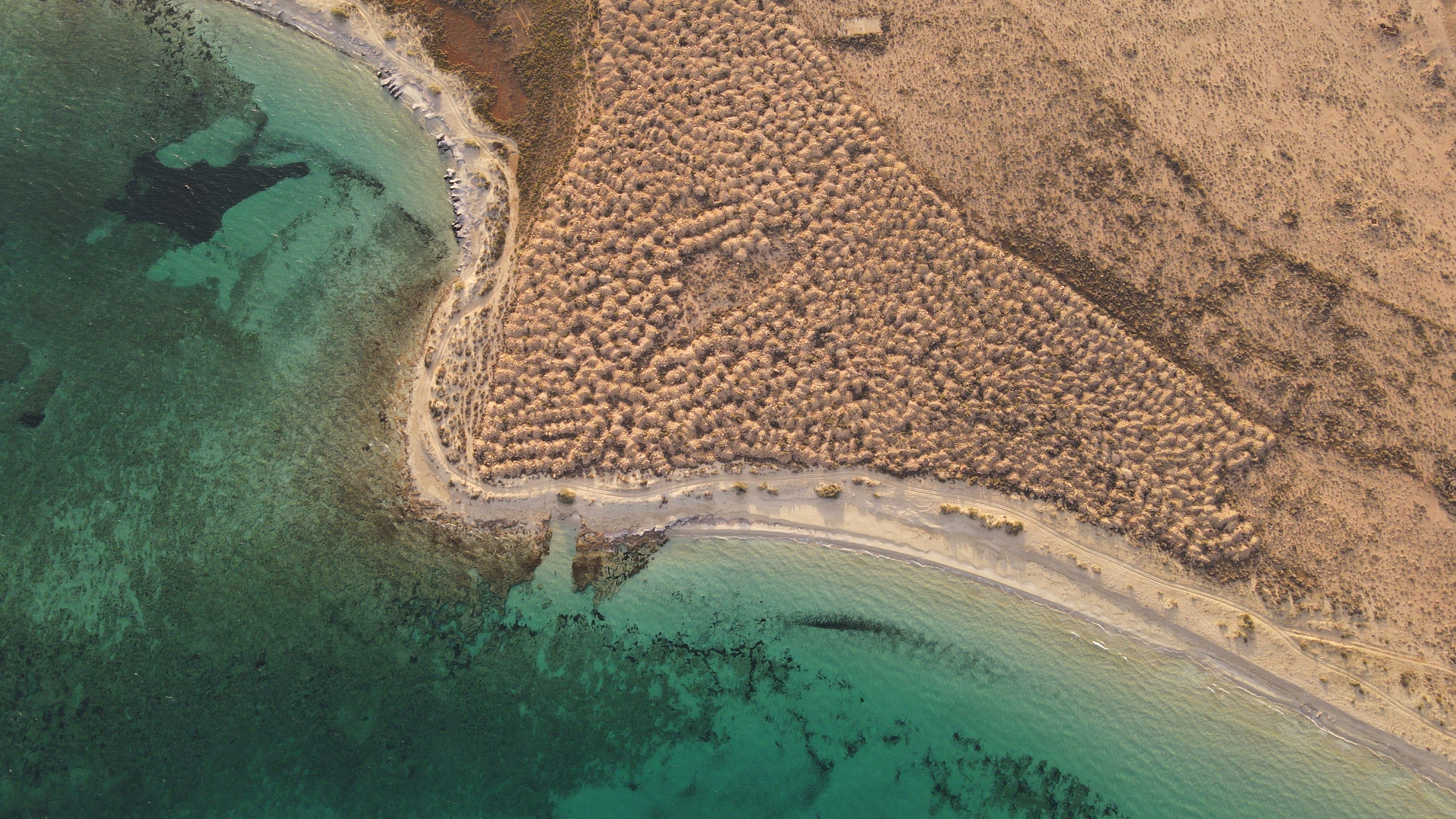 Birds Eye View of Sunlit Sea Shore · Free Stock Photo