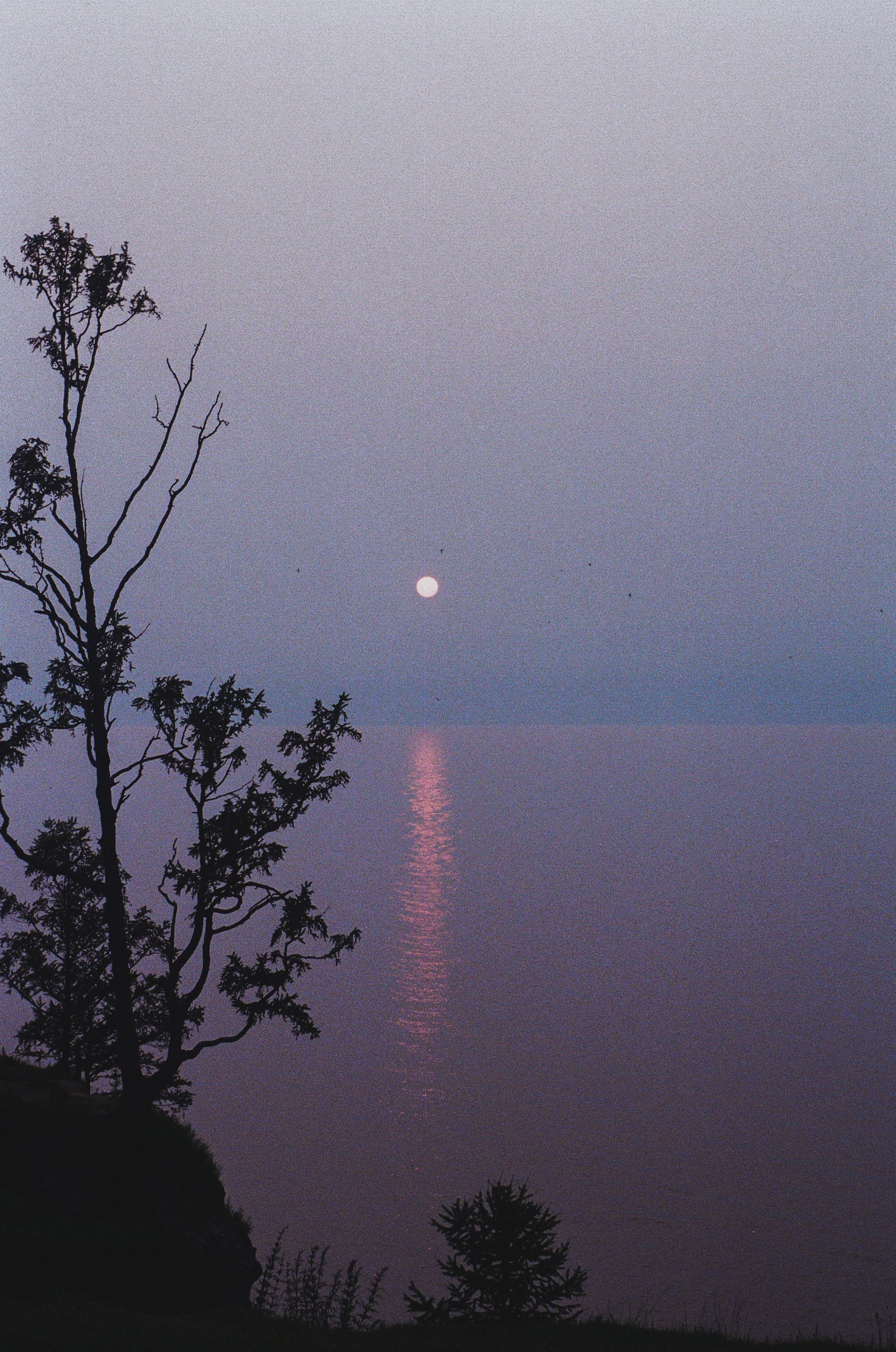 Body of Water Under the Moon · Free Stock Photo