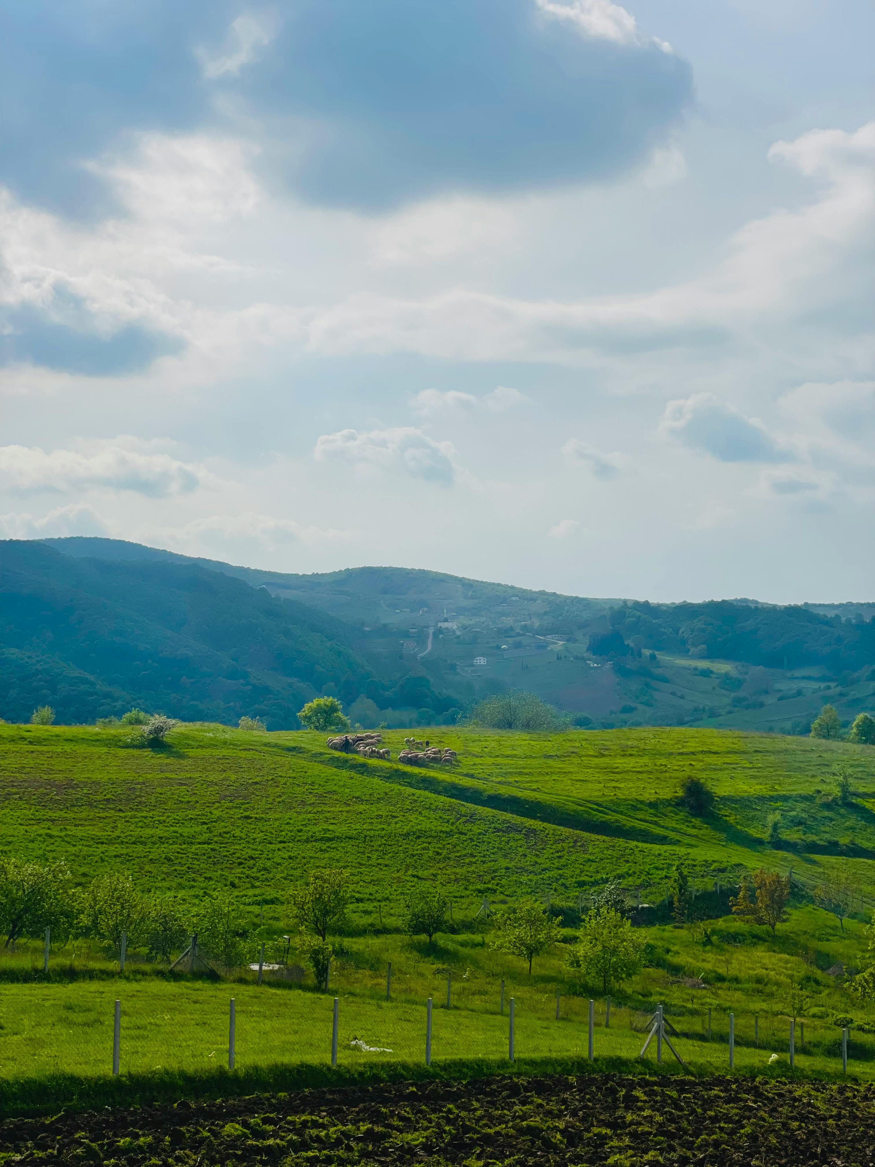 Dark Clouds Above an Agricultural Land · Free Stock Photo