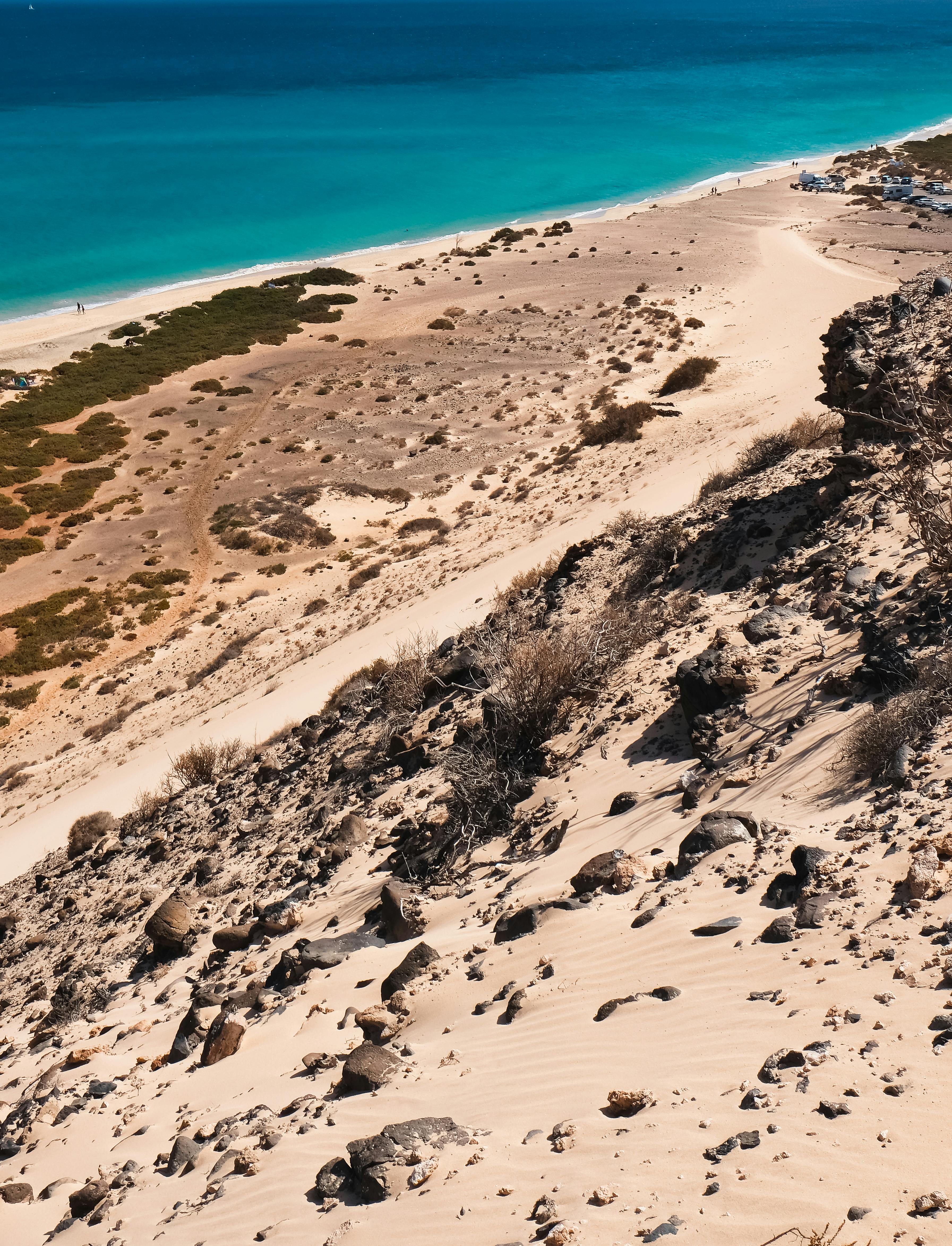 Rocks on Sand · Free Stock Photo