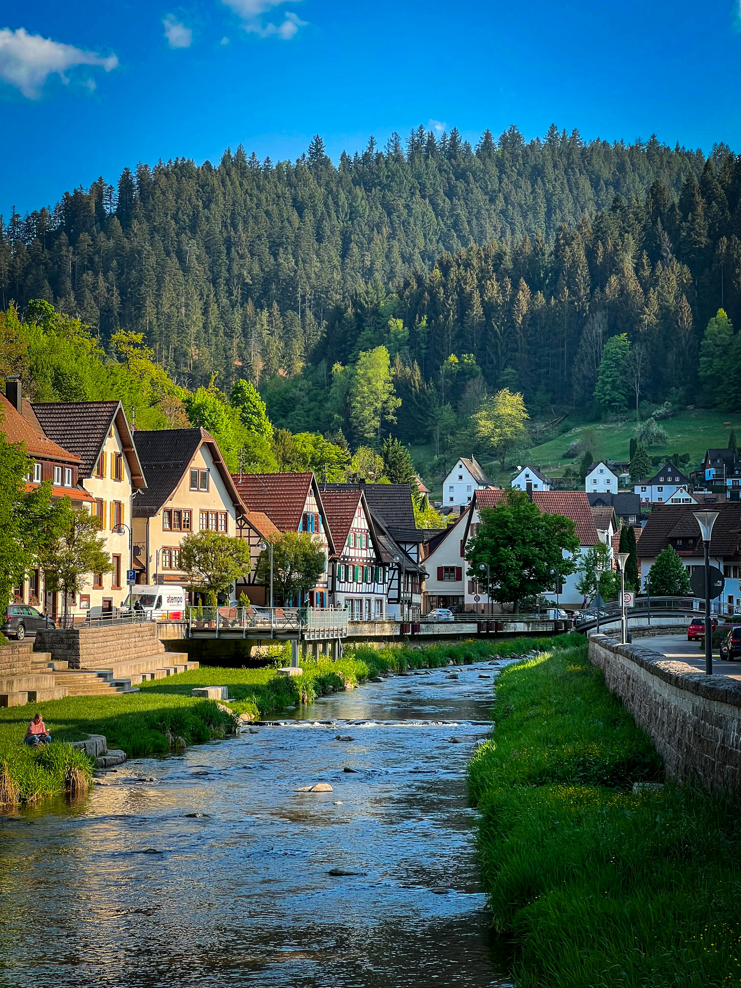 Houses Near River and Trees · Free Stock Photo