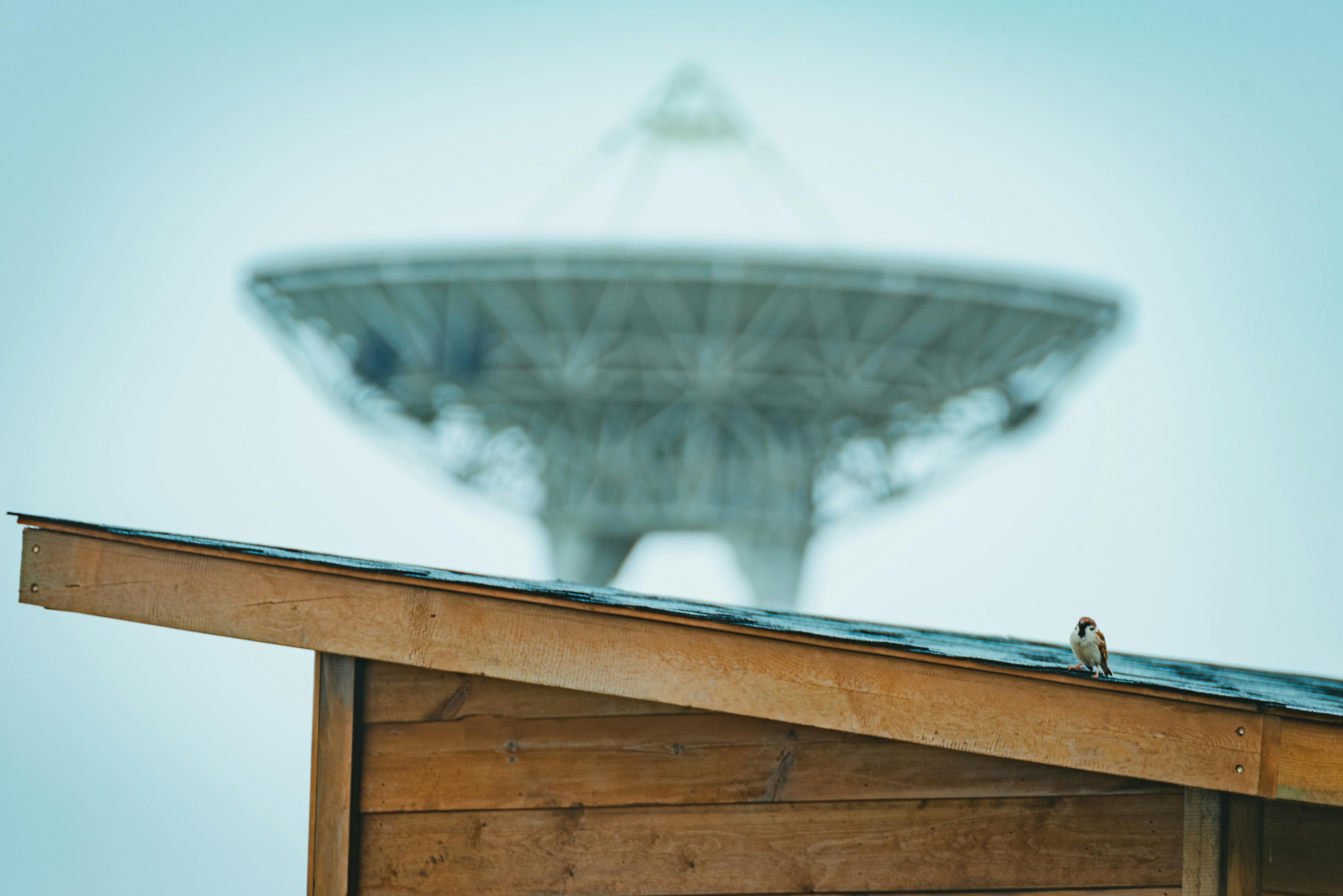 Inflatable Roof Photos, Download Free Inflatable Roof Stock Photos & HD ...