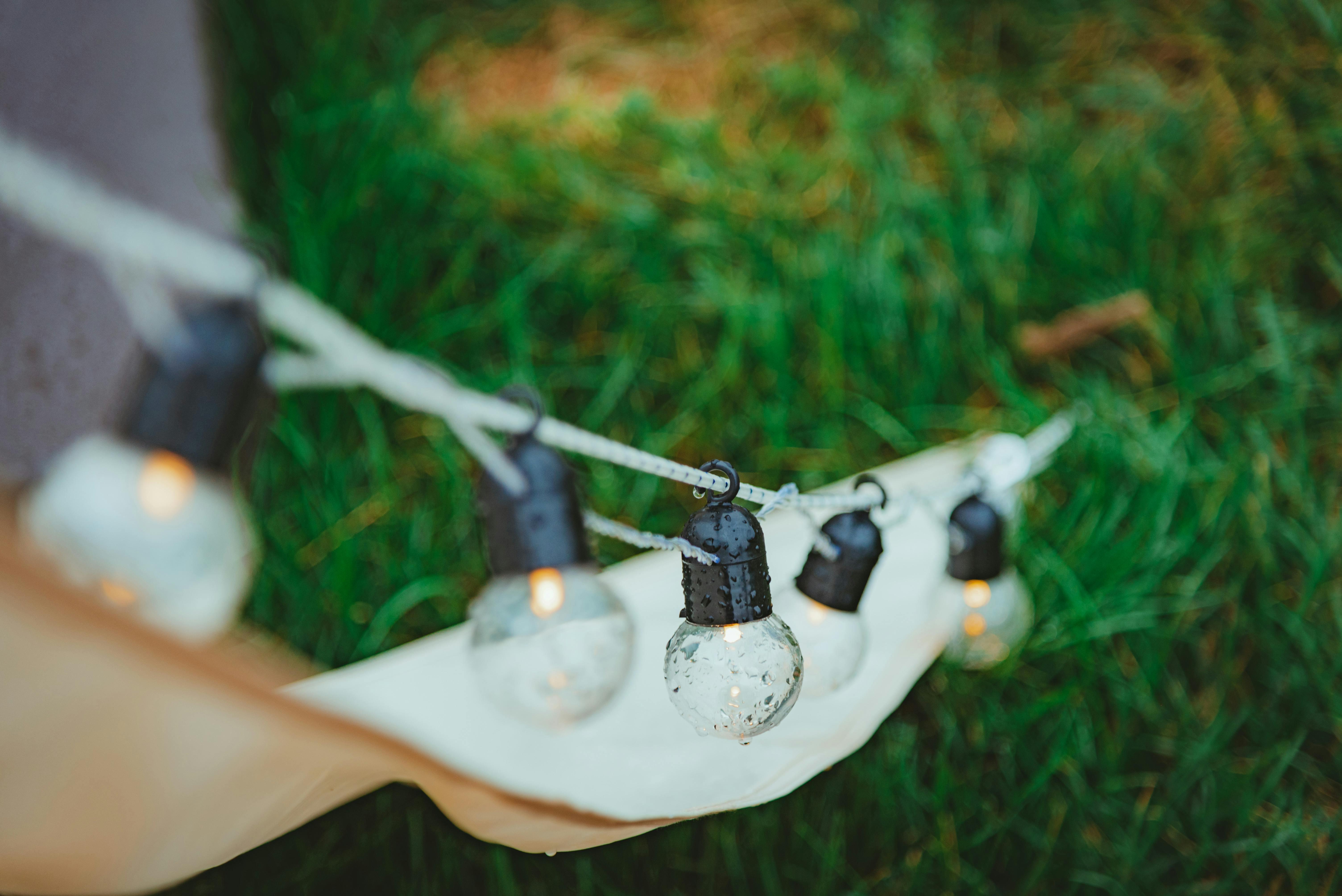 Wet String Light Bulbs · Free Stock Photo