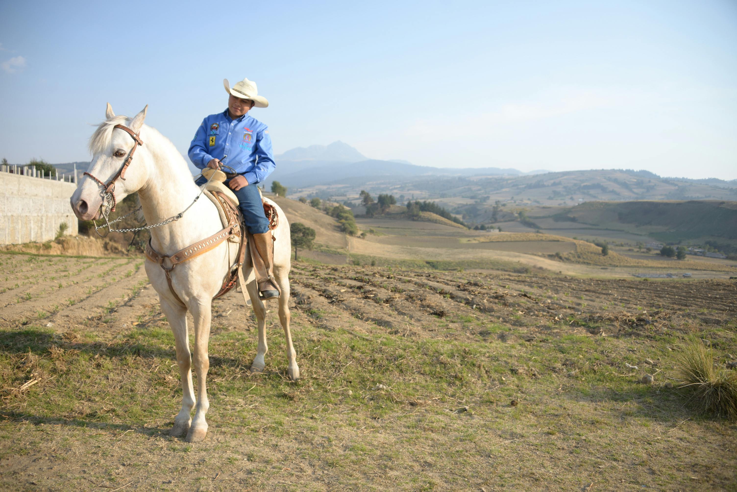 Man Riding a White Horse · Free Stock Photo