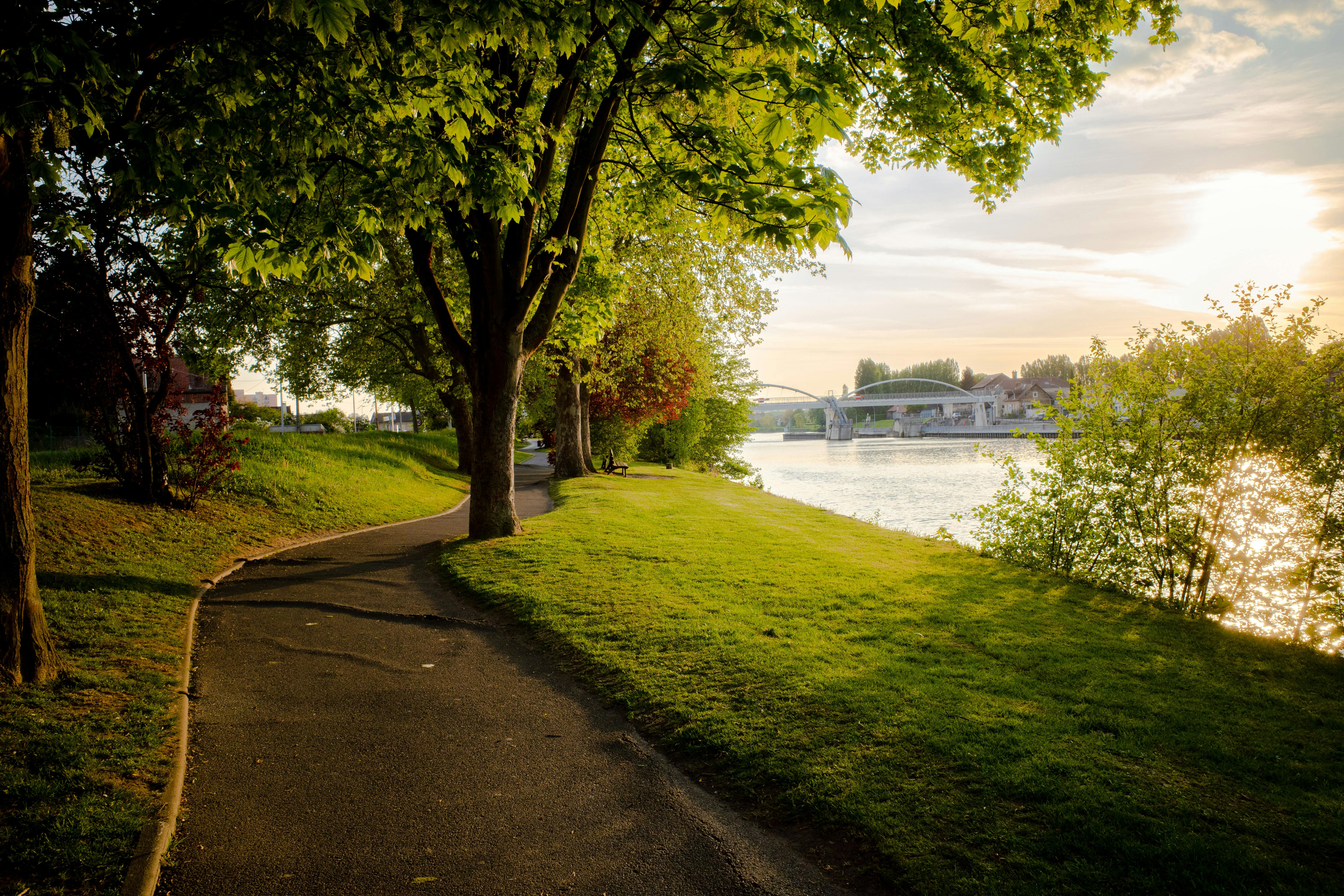 Paved Pathway near Body of Water · Free Stock Photo
