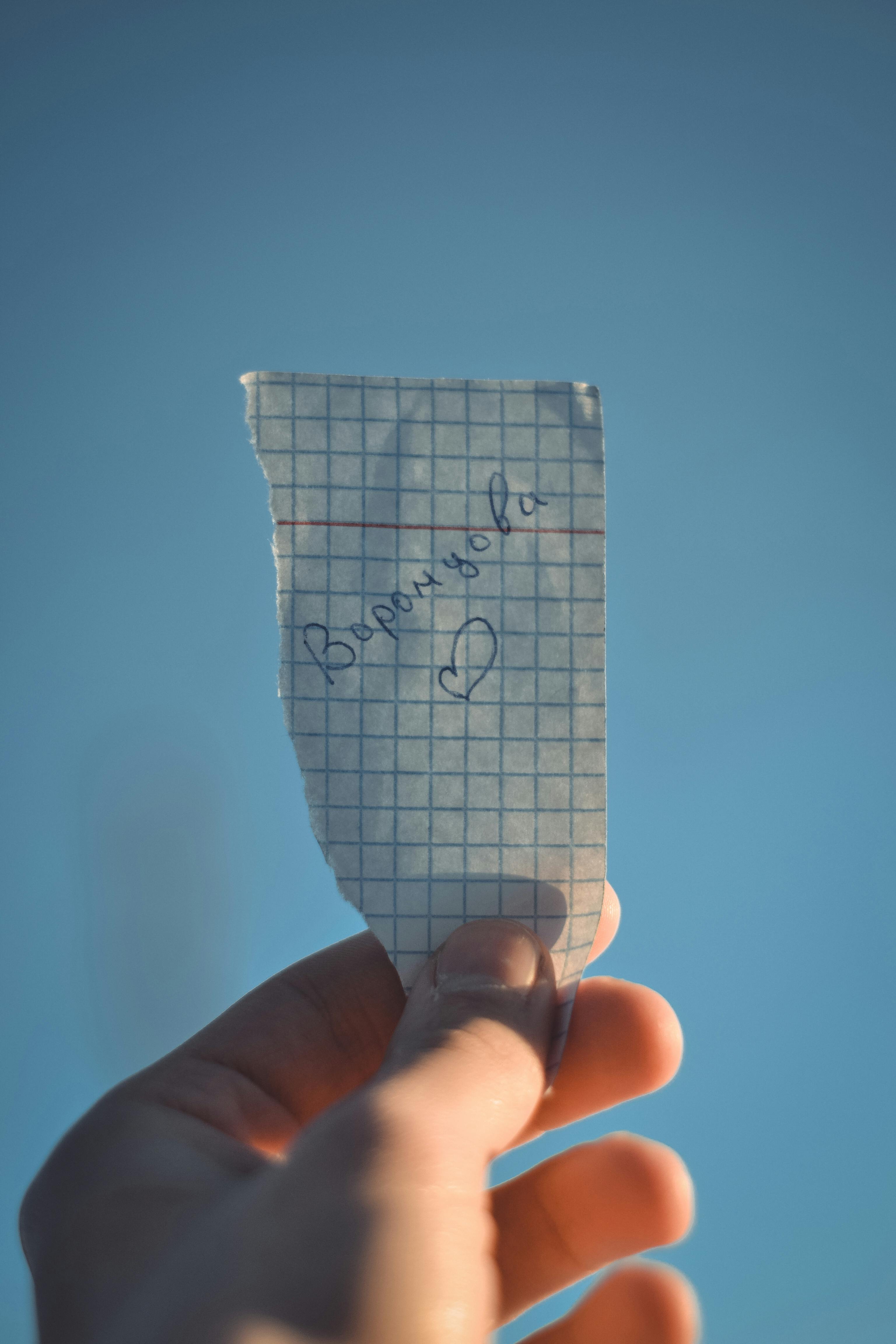 Woman Holding No Comment Signage · Free Stock Photo