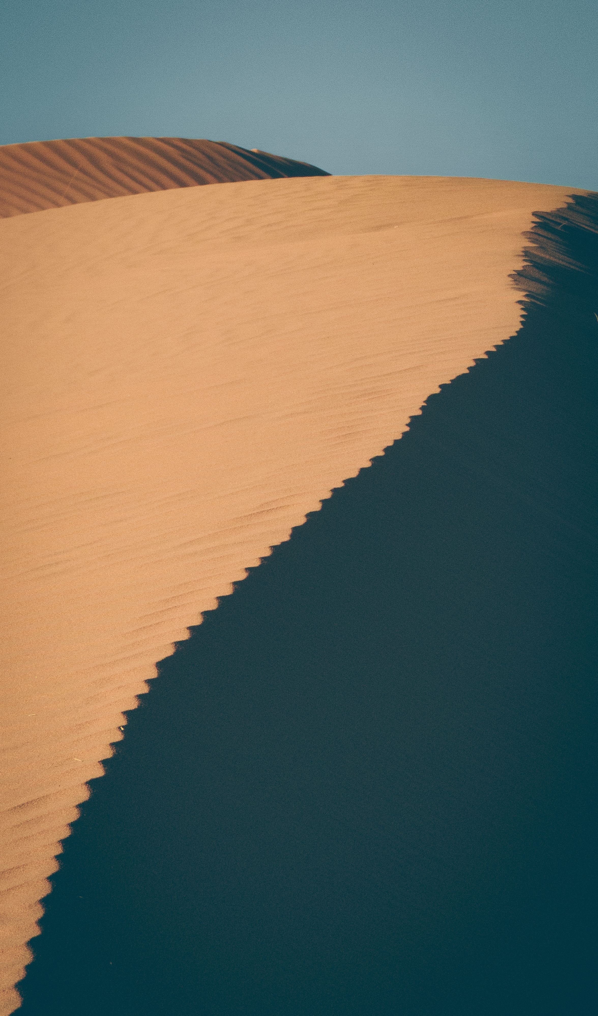 Dune on Barren Desert · Free Stock Photo