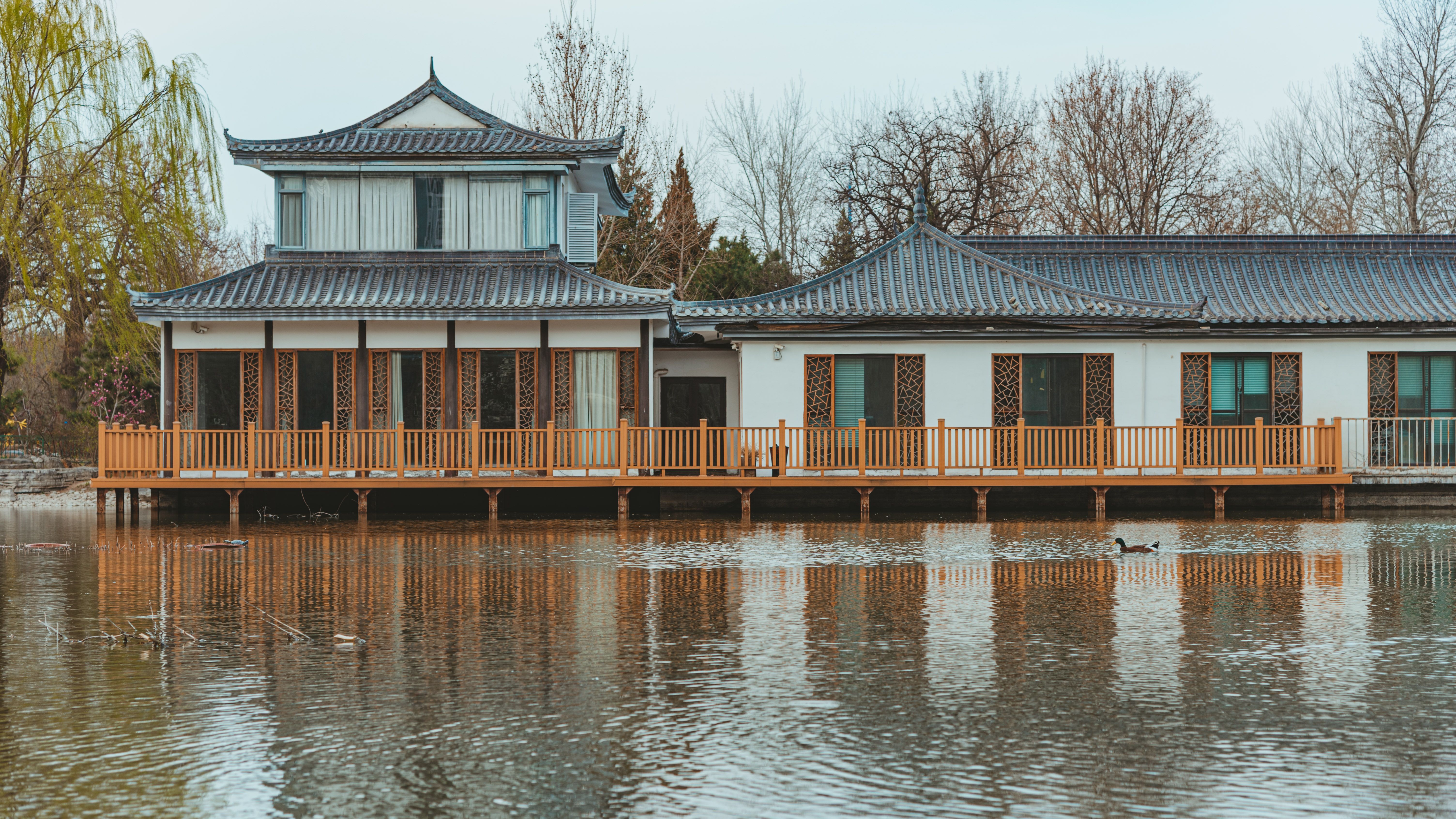 Building near Body of Water · Free Stock Photo