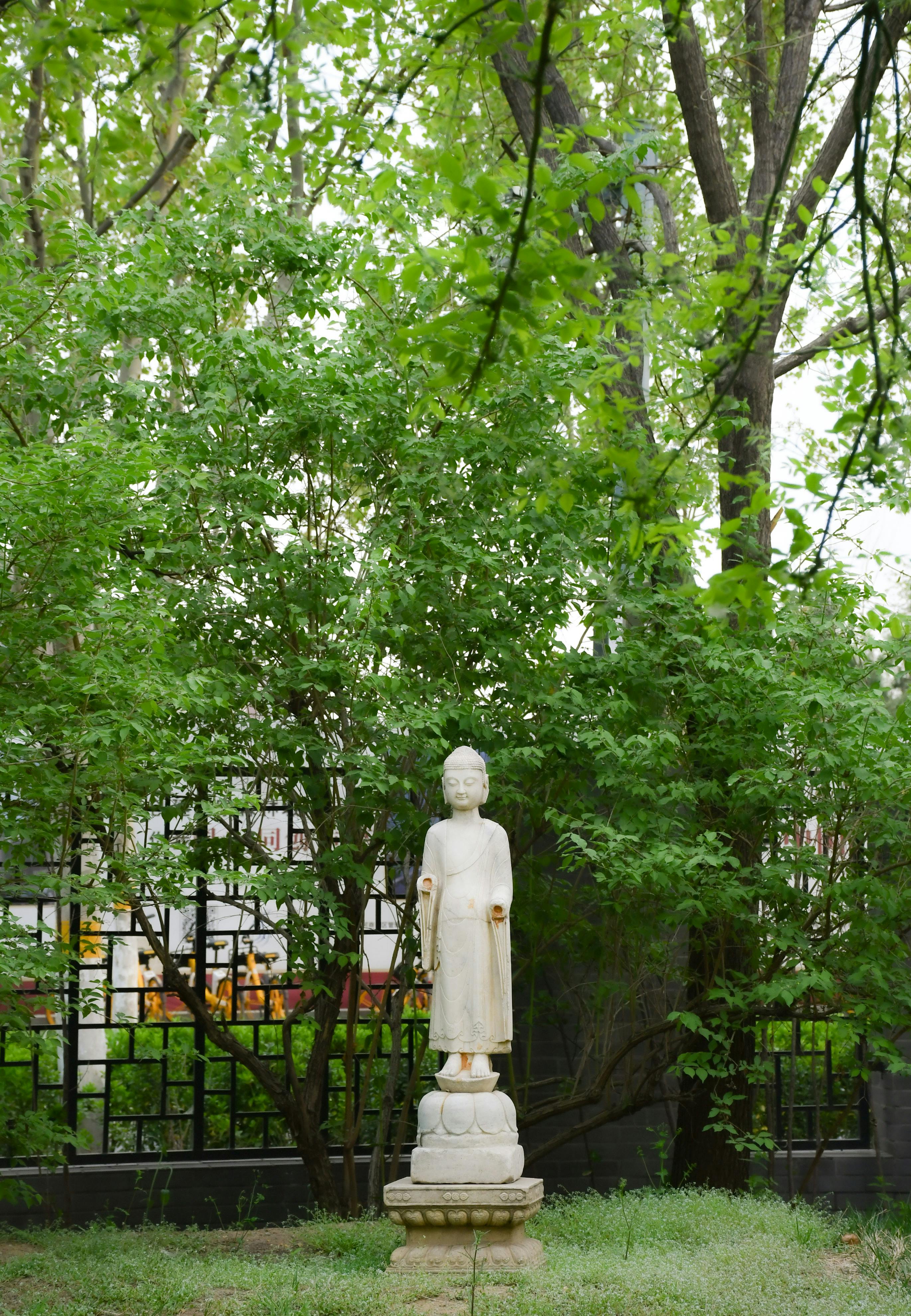 White Buddha Statue near Trees · Free Stock Photo