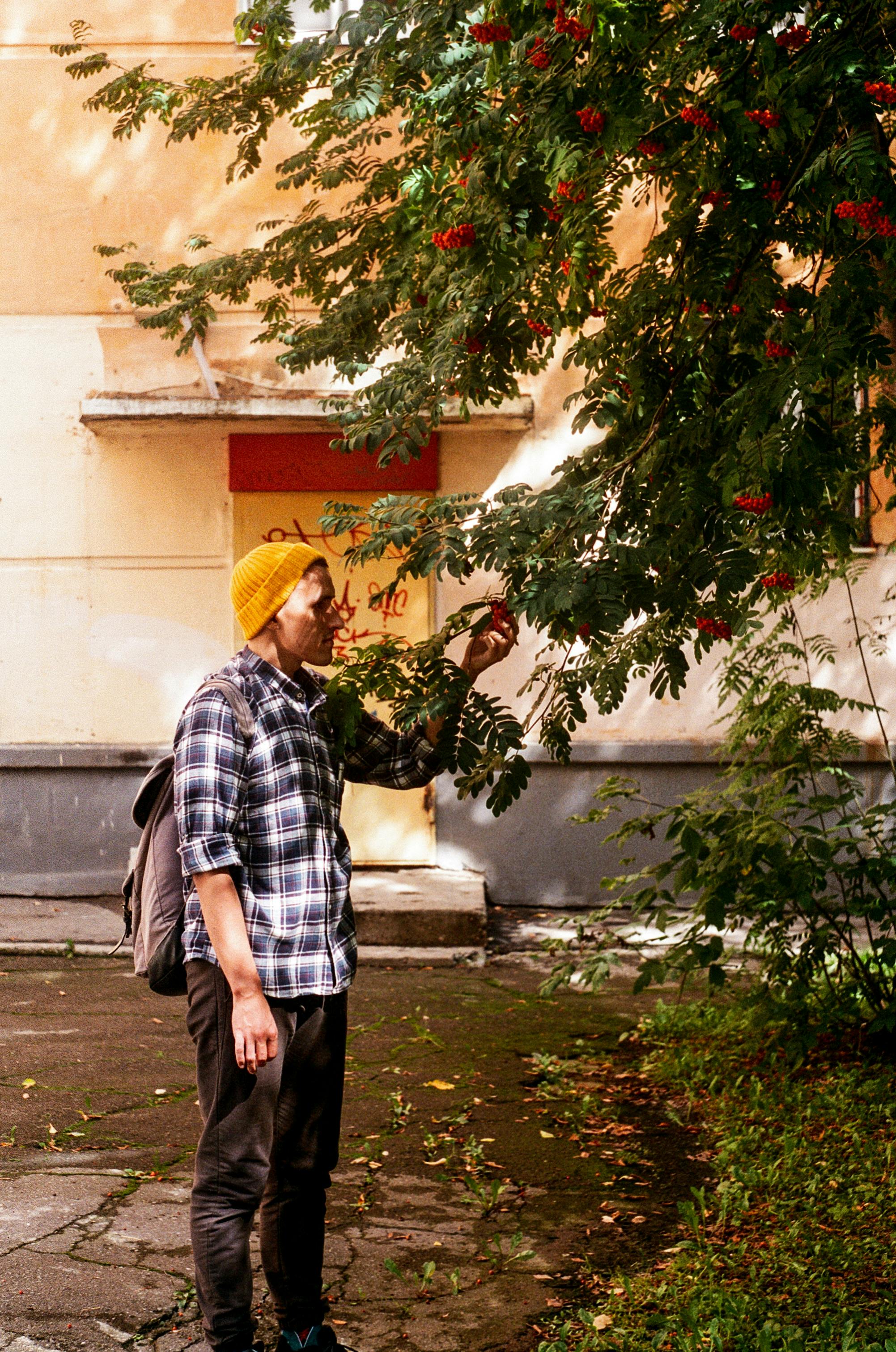 A Man Standing Beside a Banyan Tree · Free Stock Photo