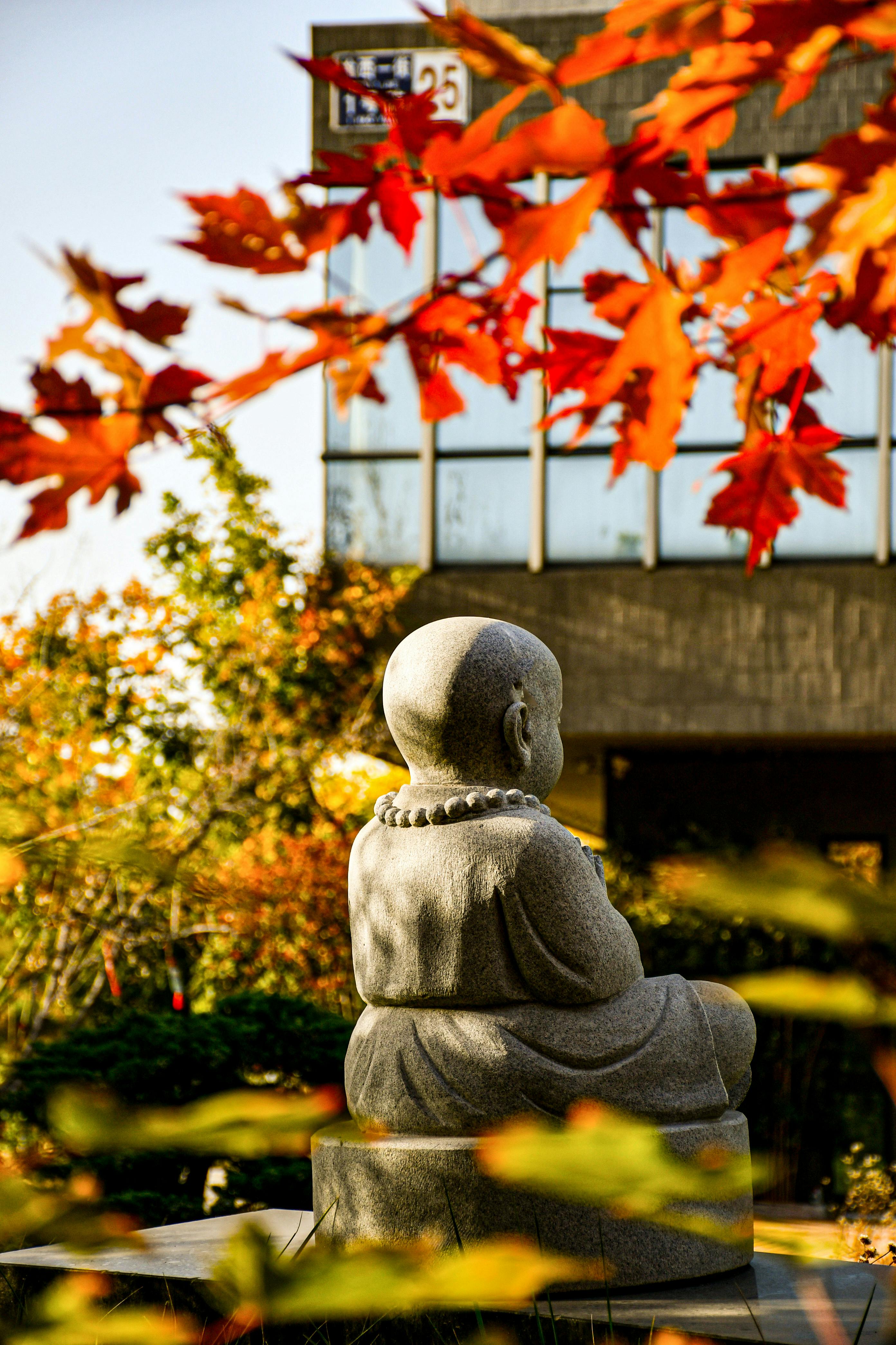 A Buddha Statue during Fall · Free Stock Photo