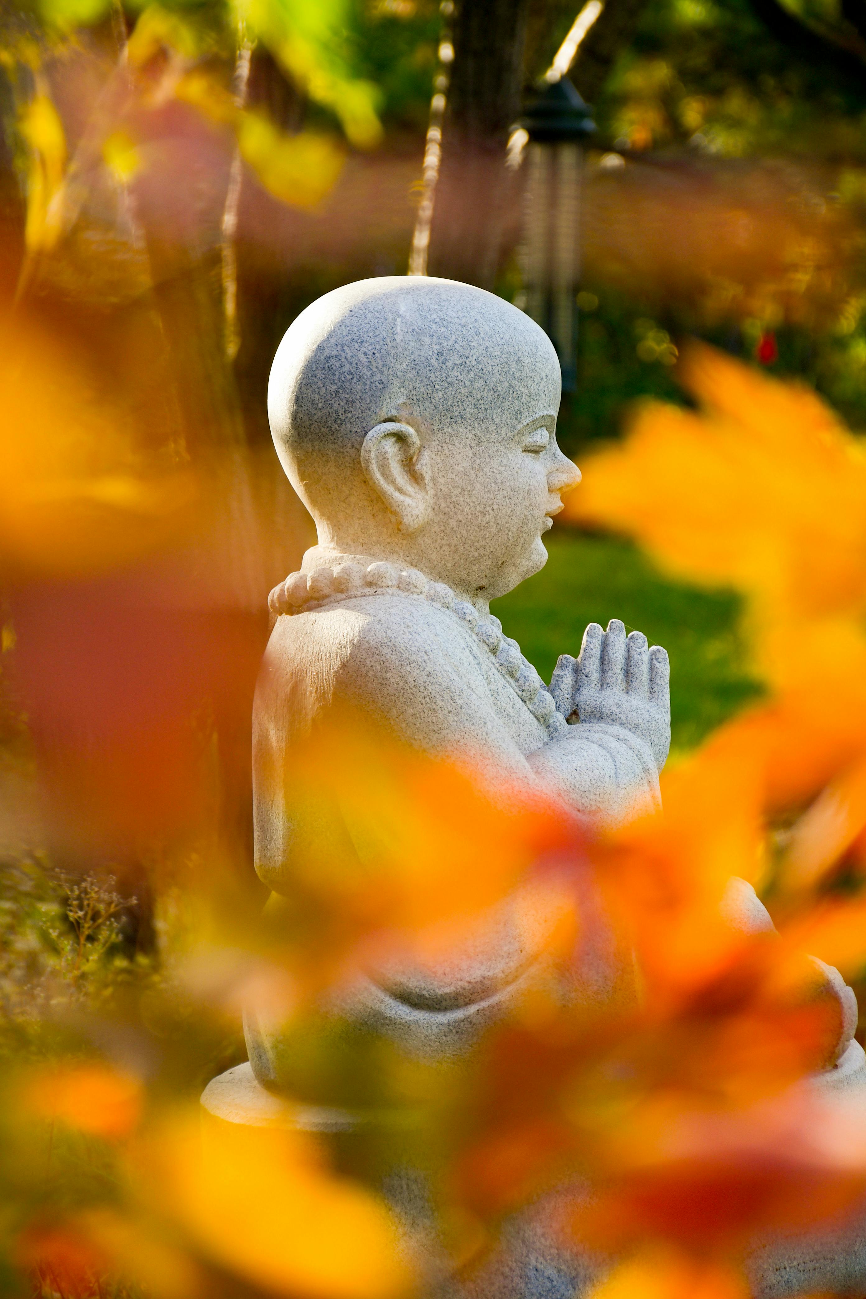 Stone Buddha Statue in the Garden at Autumn Season · Free Stock Photo