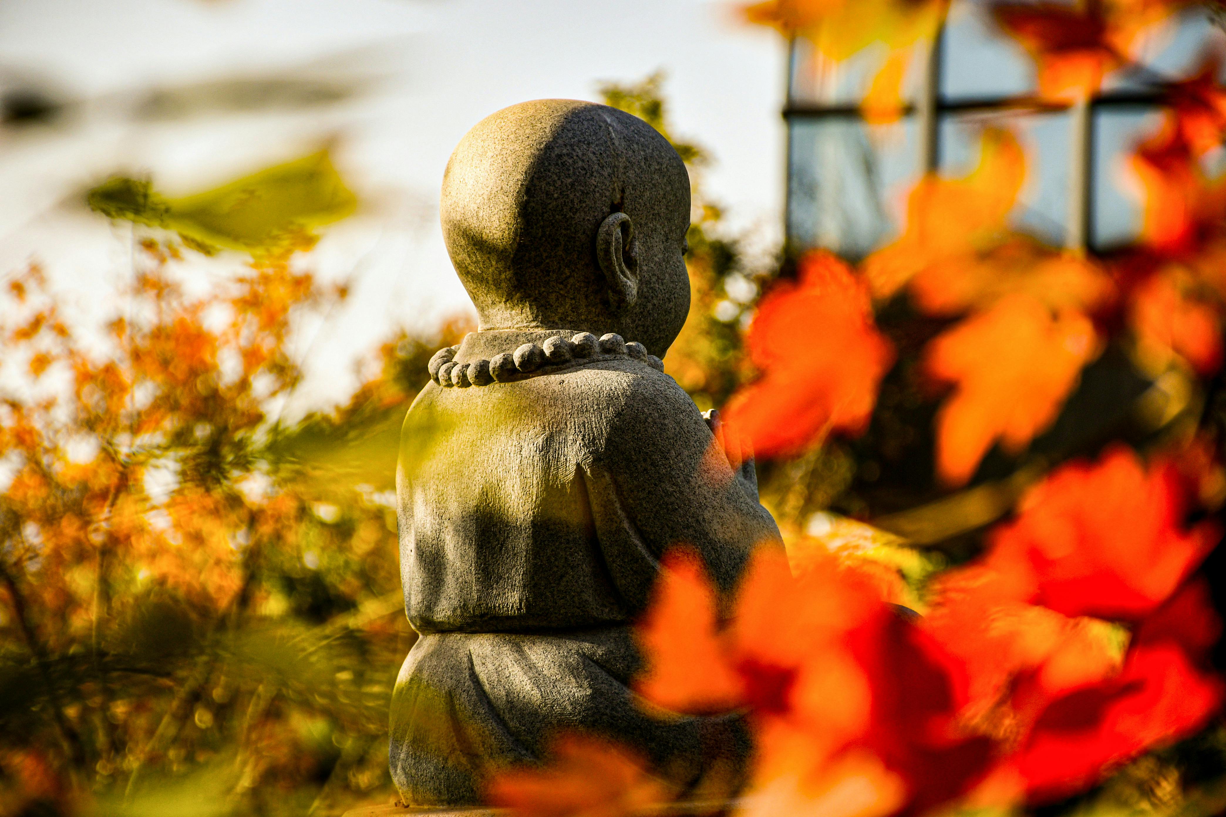 A Buddha Statue during Fall · Free Stock Photo