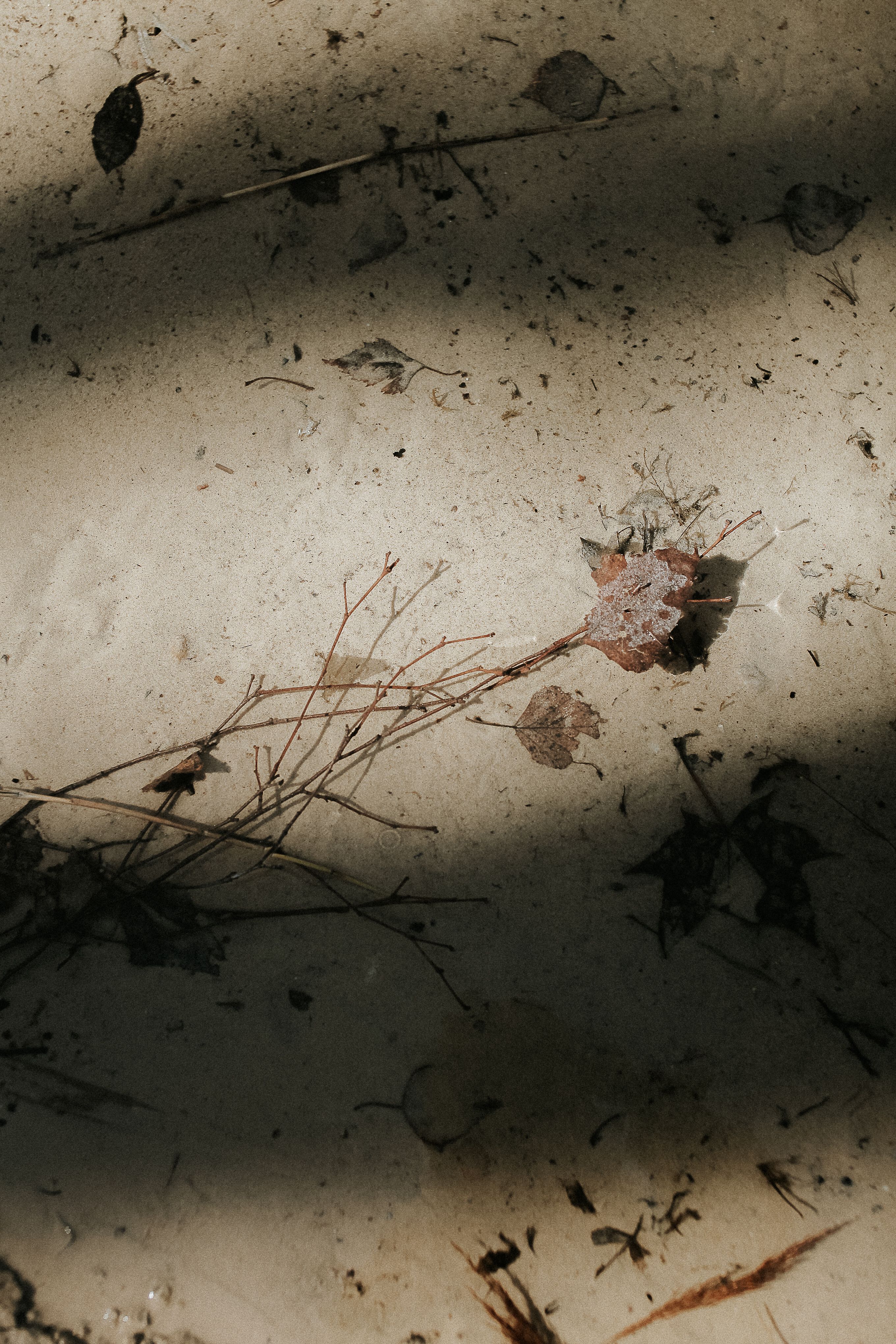 Close up of Sand · Free Stock Photo