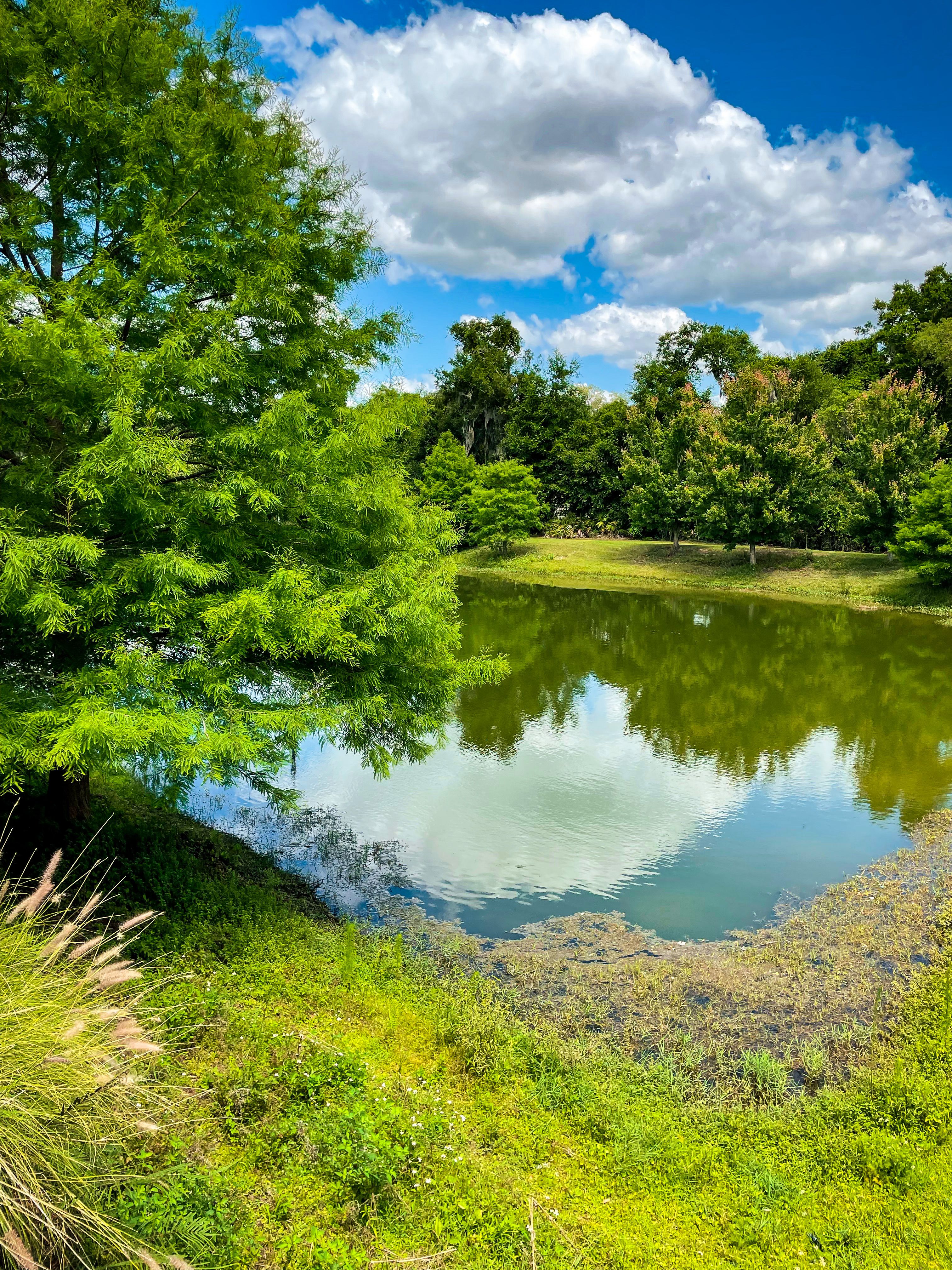 A Lake in the Countryside · Free Stock Photo
