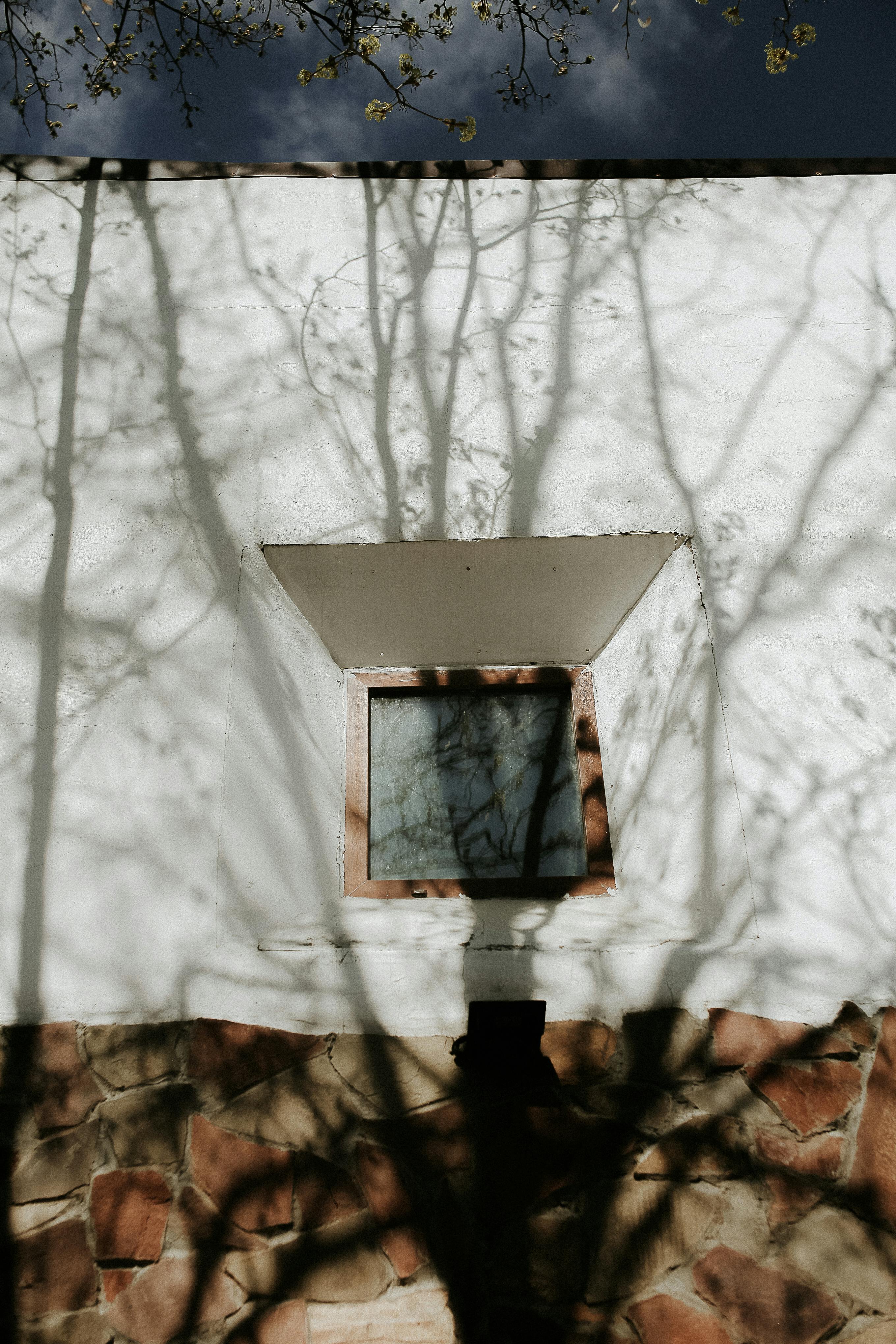 Shadow of Tree on White Wall with Wooden Framed Glass Window · Free ...