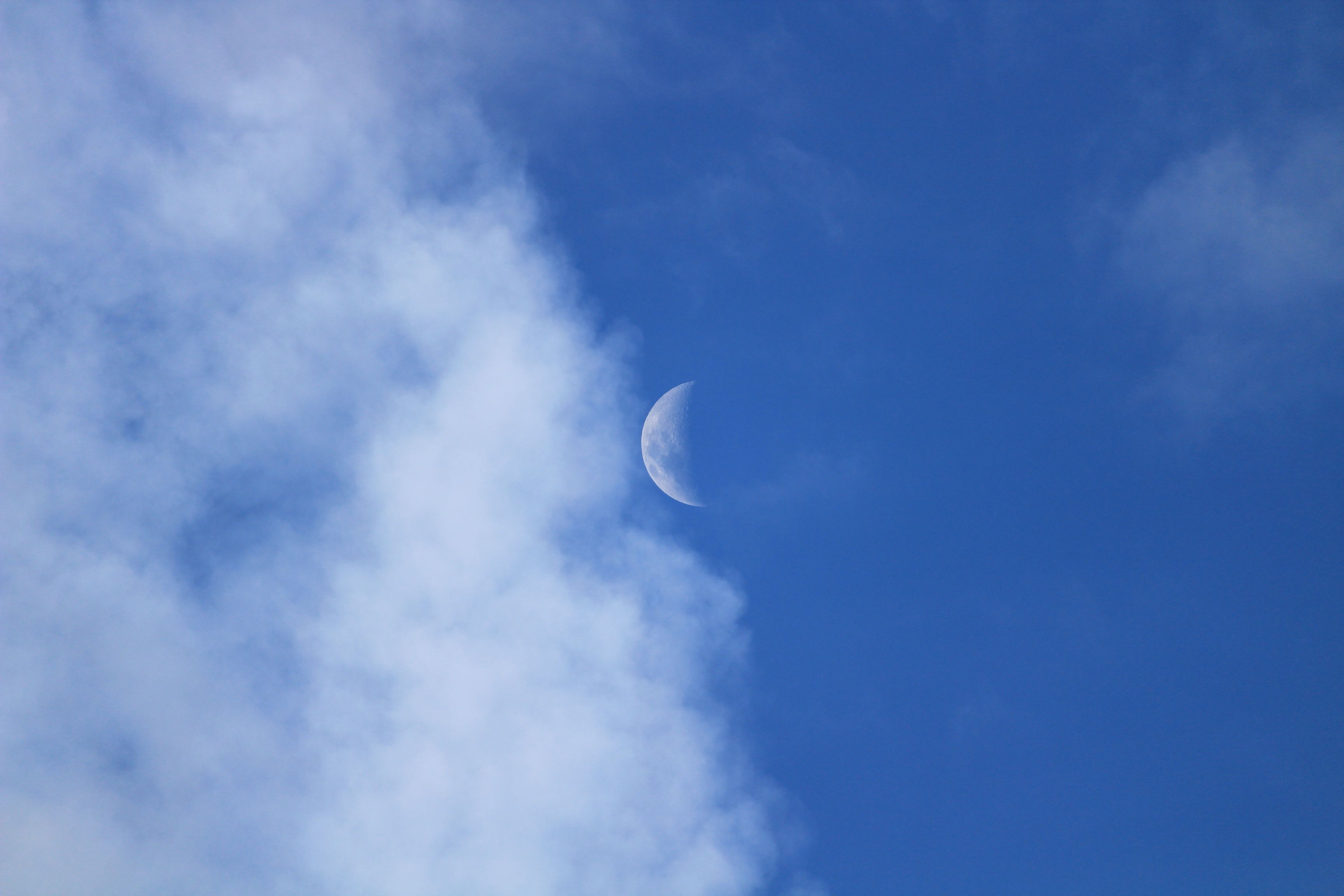Half Moon View · Free Stock Photo