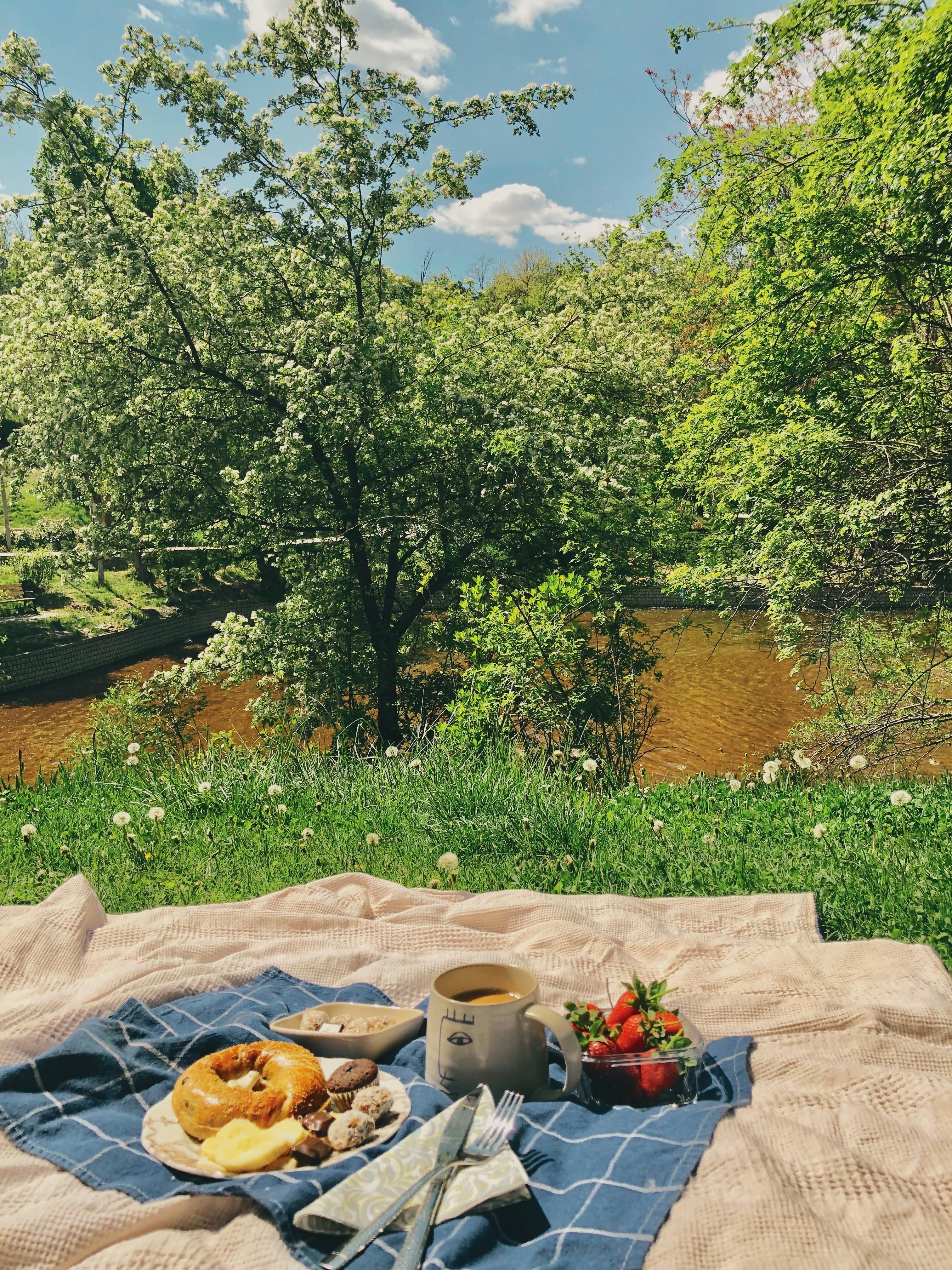 A Picnic by a River · Free Stock Photo