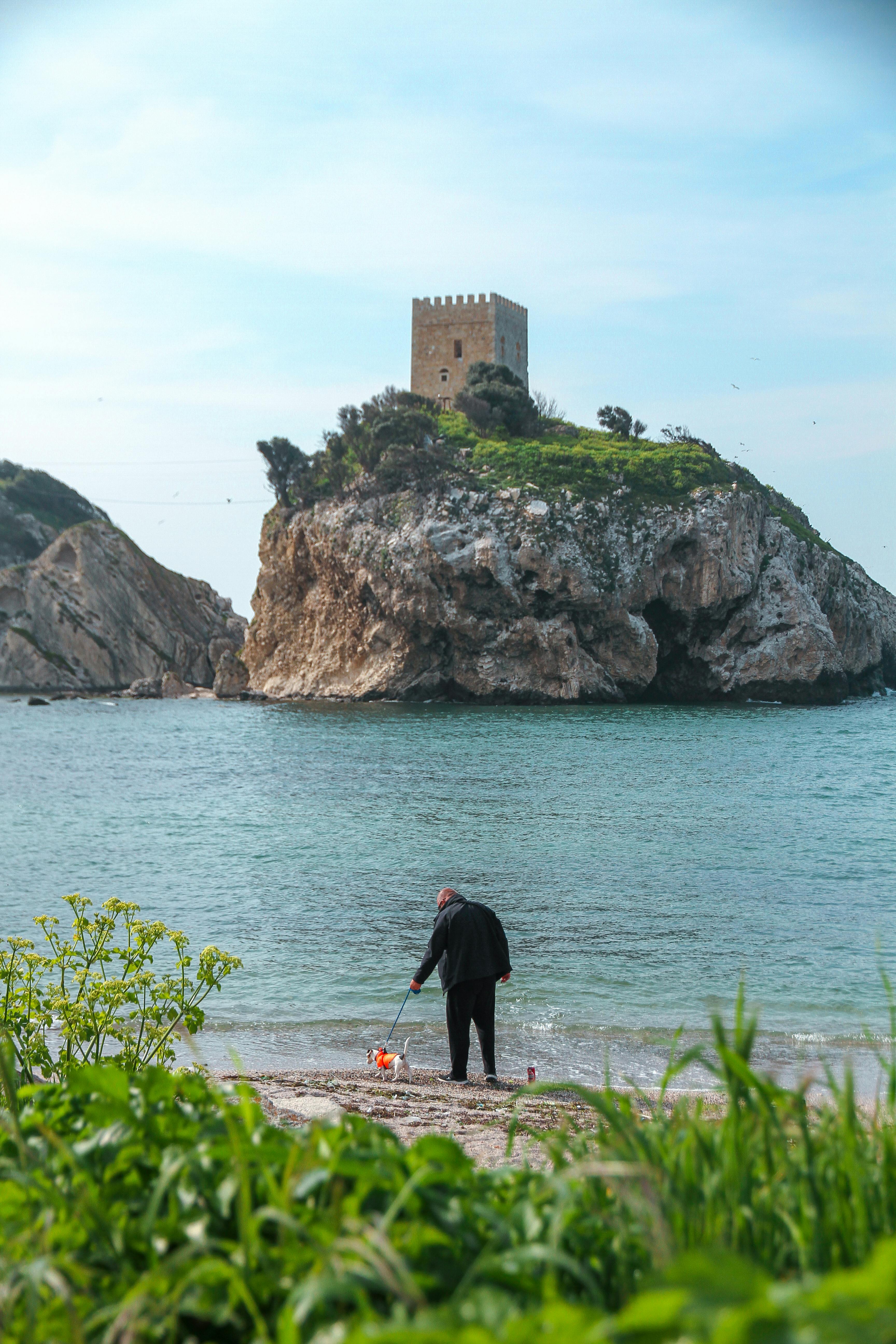 Dog Island Florida Photos, Download The BEST Free Dog Island Florida ...