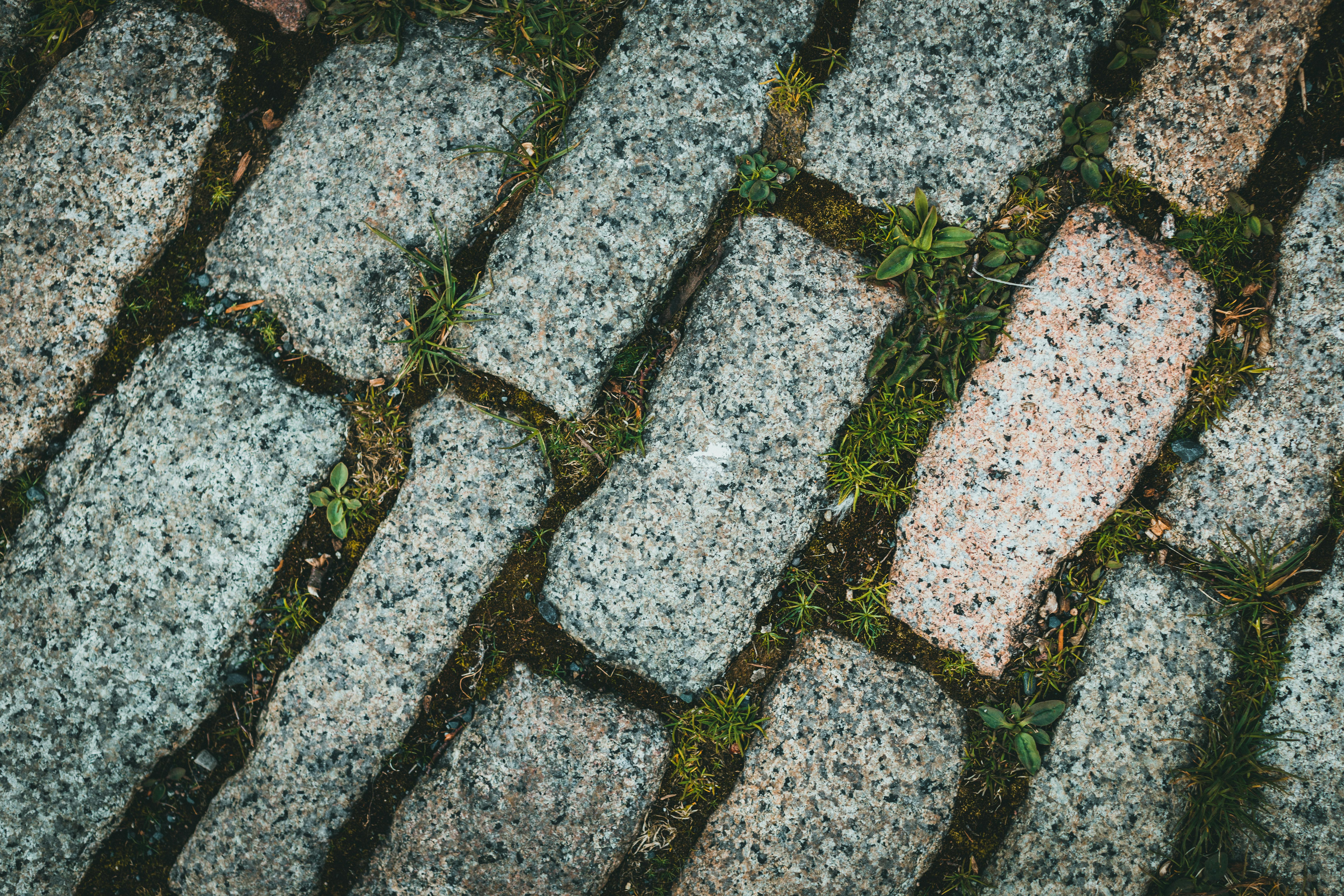 Interlock Texture Photos, Download The BEST Free Interlock Texture ...