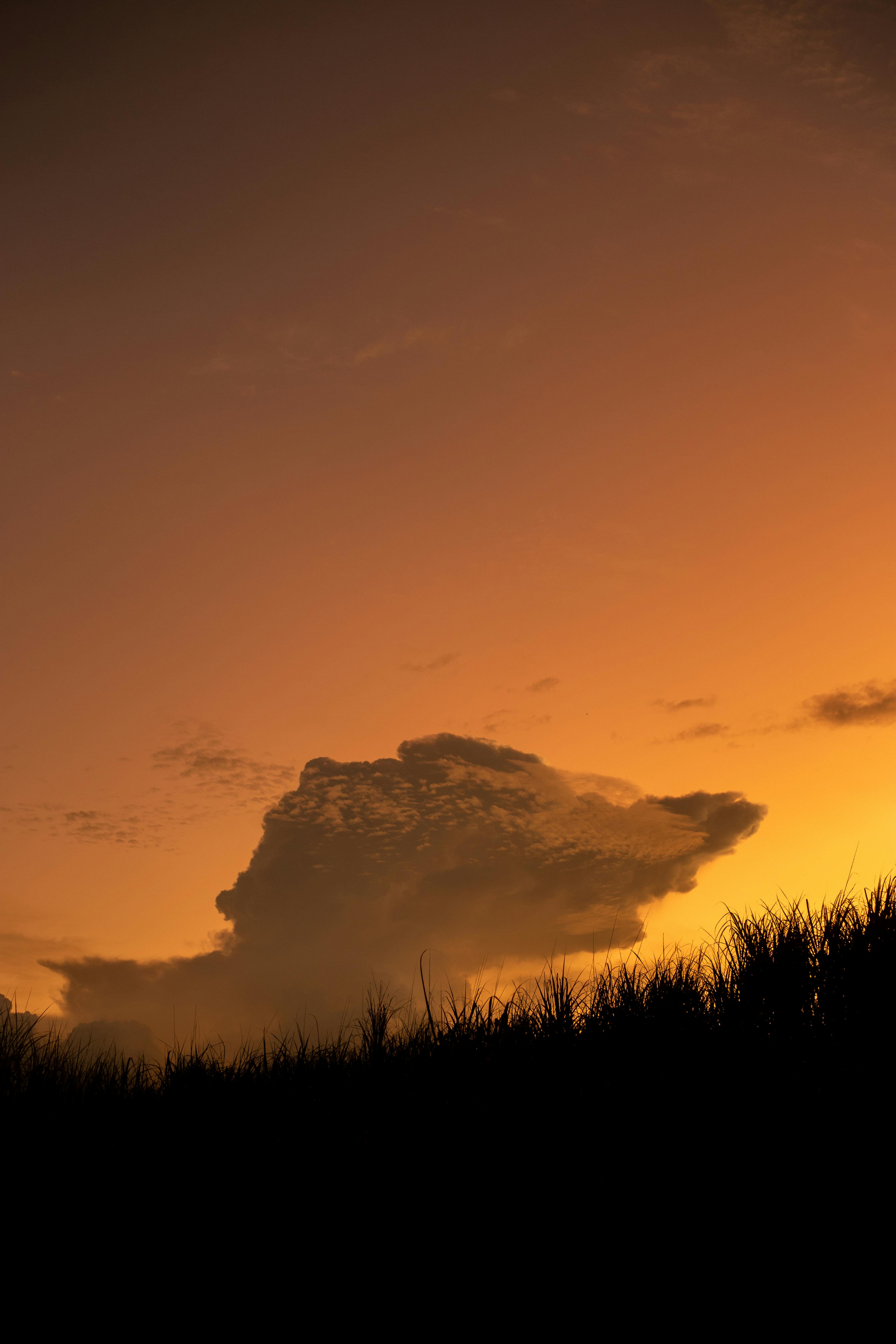 Sunset Silhouette Photos, Download The BEST Free Sunset Silhouette ...
