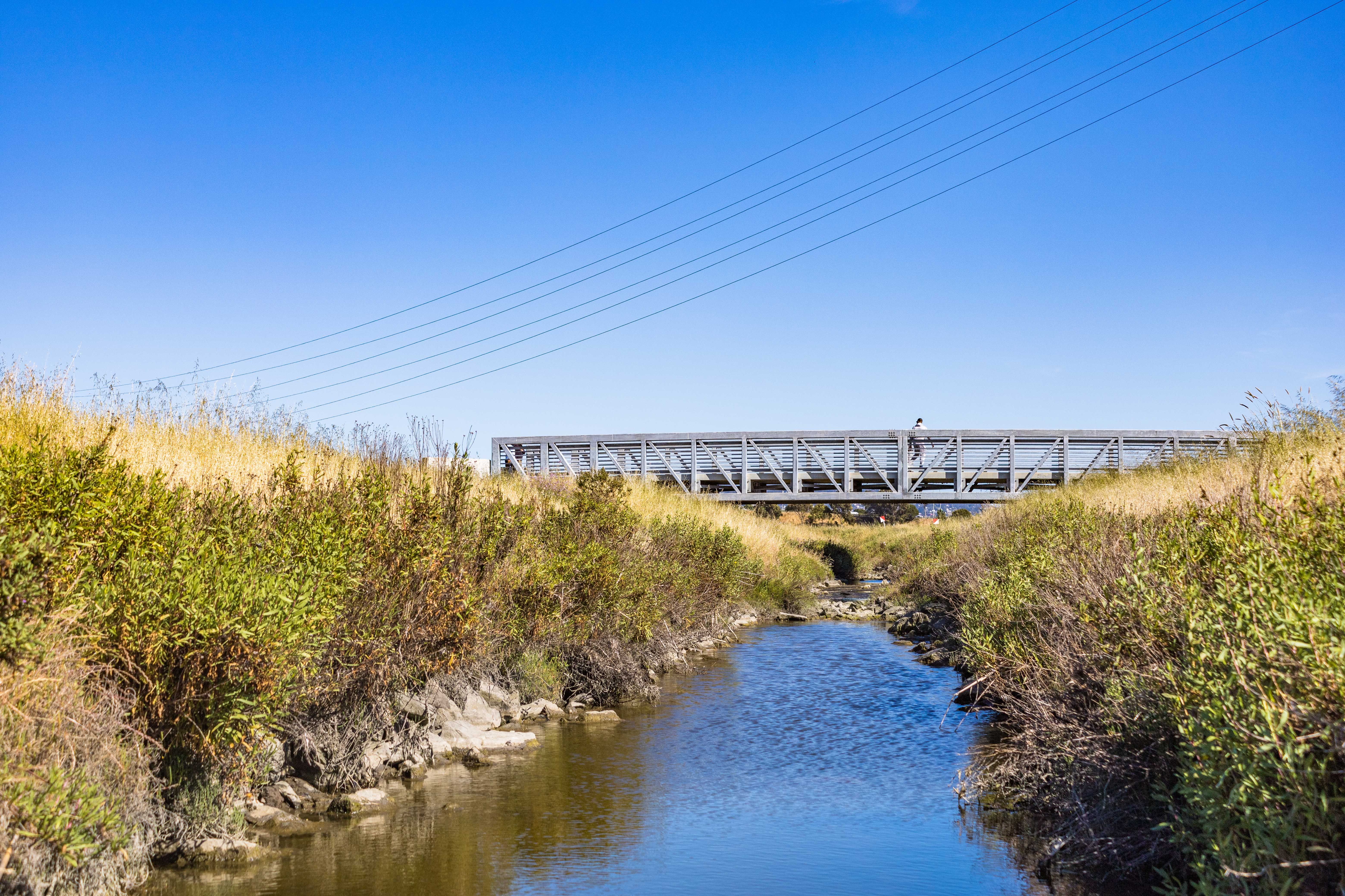 Green and Brown Grass Near River with Reflection of Blue Sky · Free ...