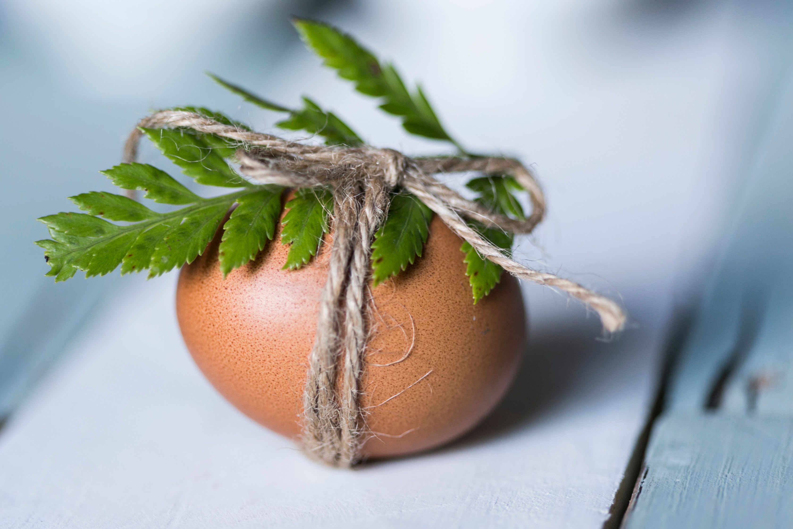 Brown Egg With Leaf · Free Stock Photo