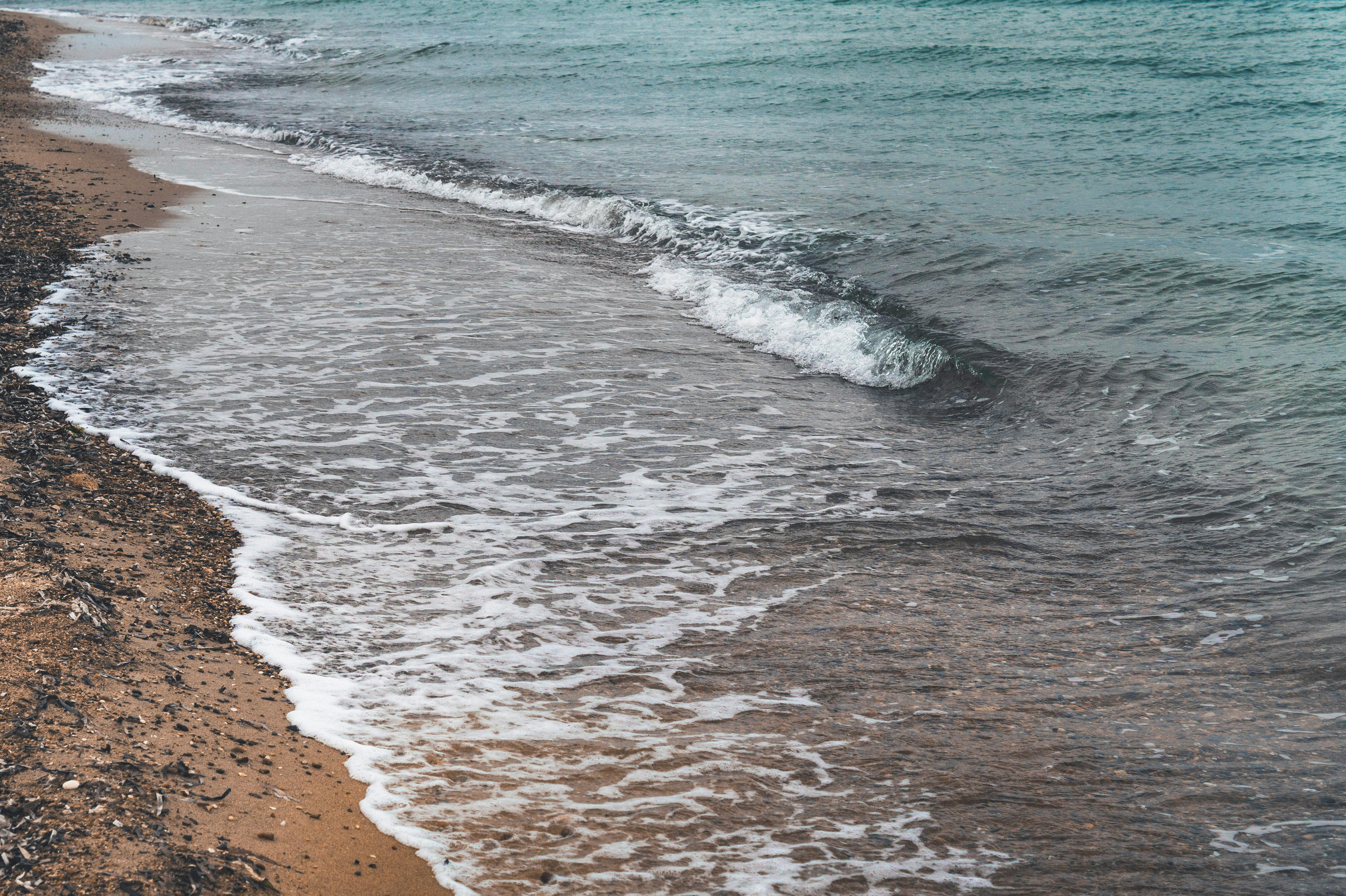 Water on the Shore · Free Stock Photo