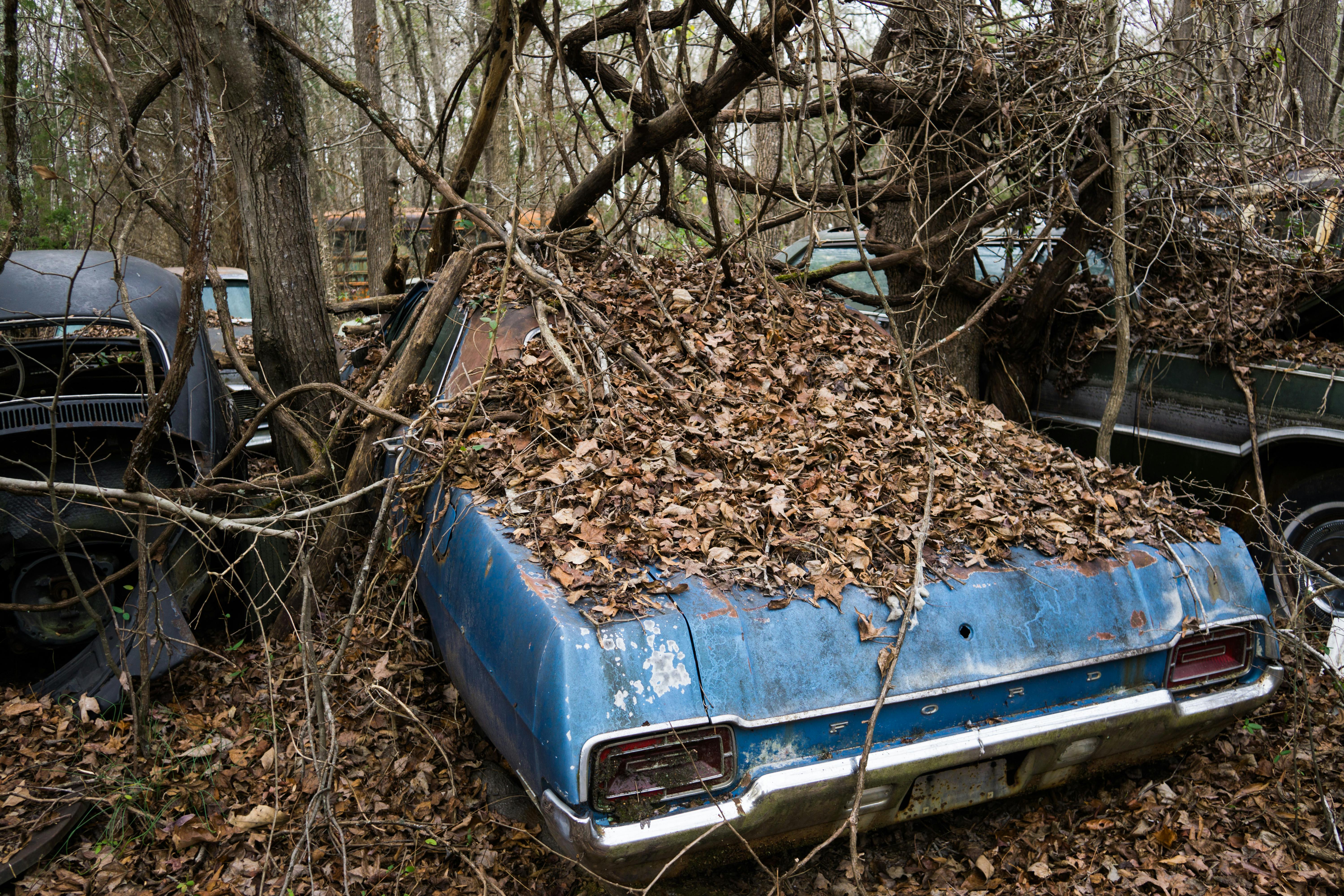Damaged Junk Cars Parked on a Junk Yard · Free Stock Photo