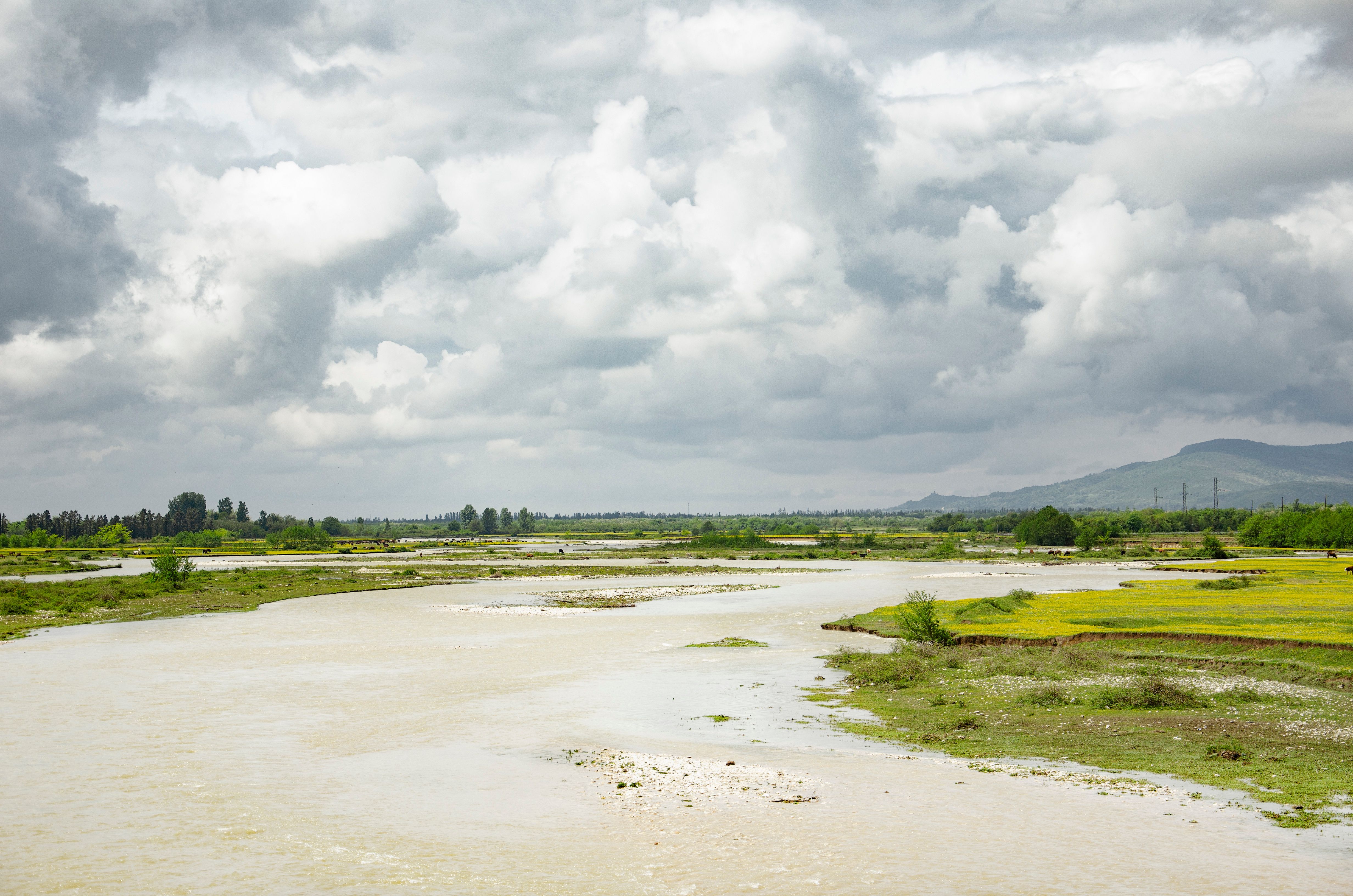 Flowing River Under White Clouds · Free Stock Photo